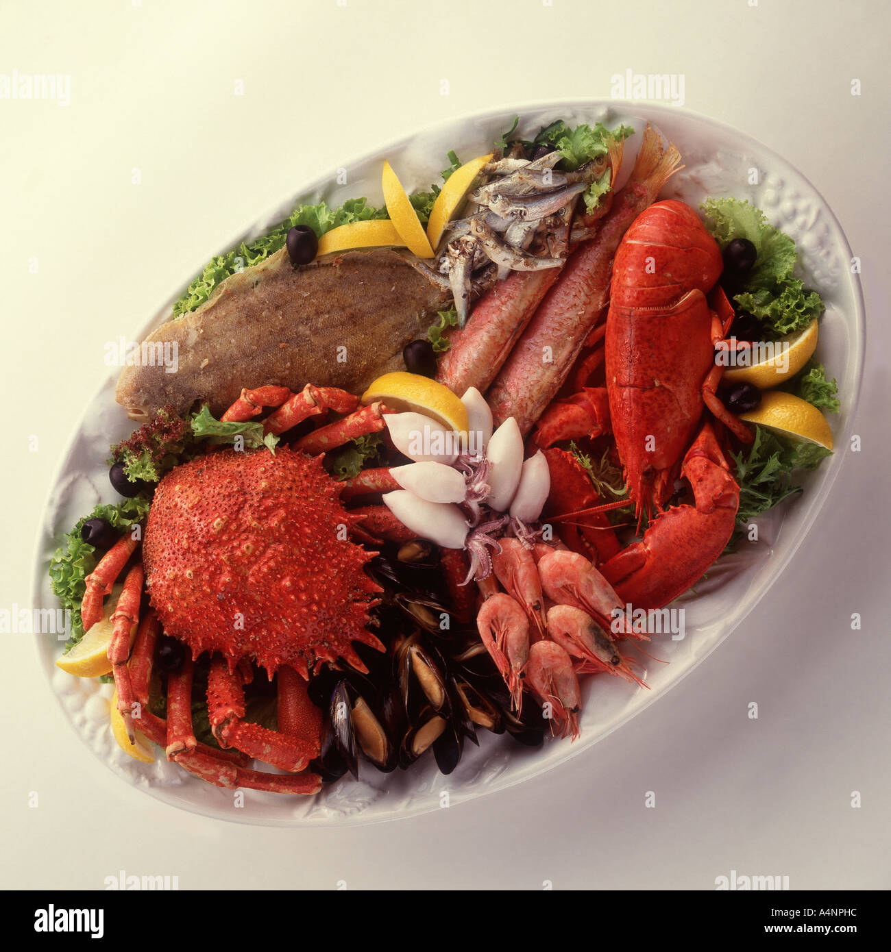 Italian seafood platter with shellfish from Venice lagoon Stock Photo ...