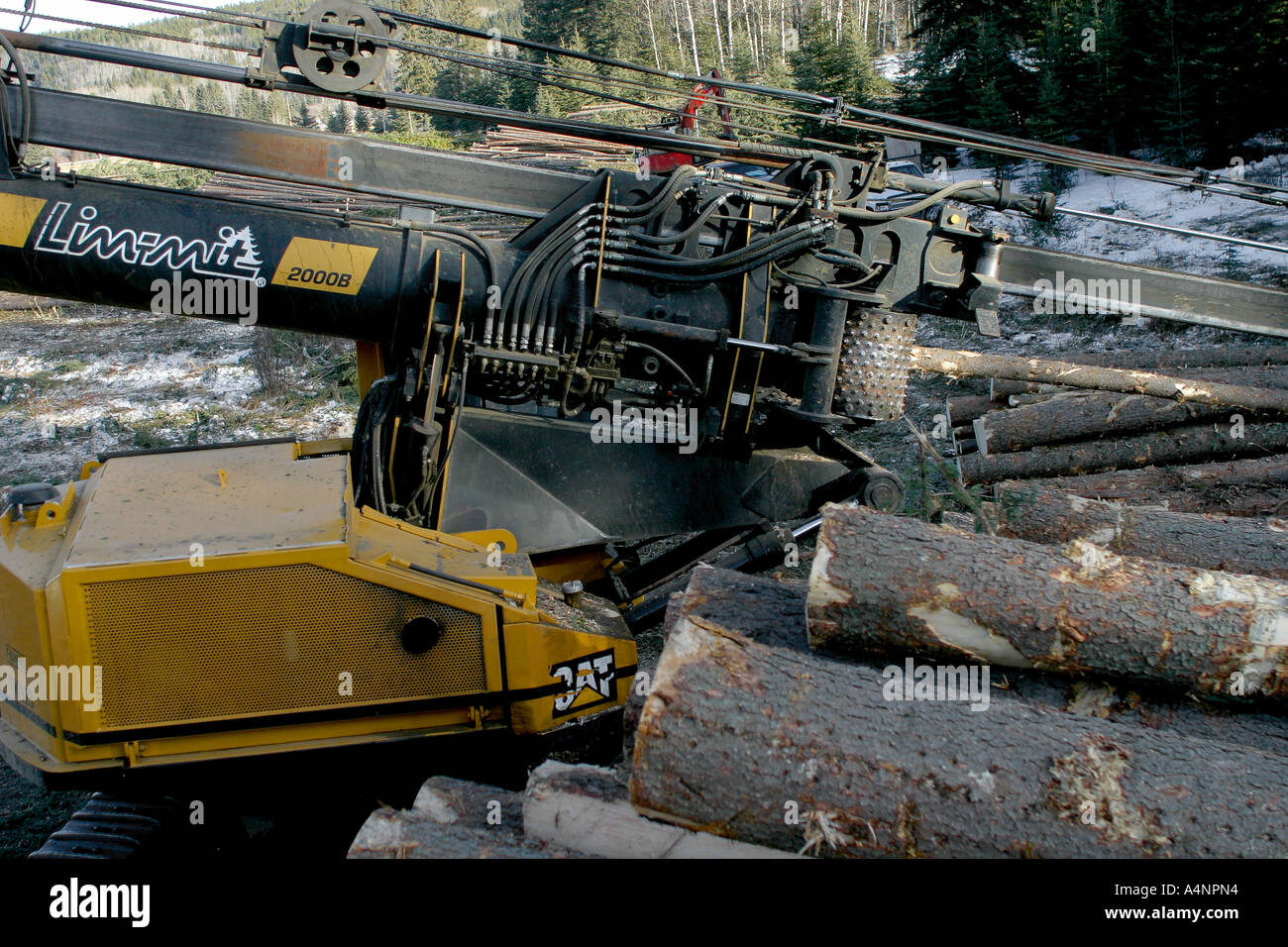 Logging Logging