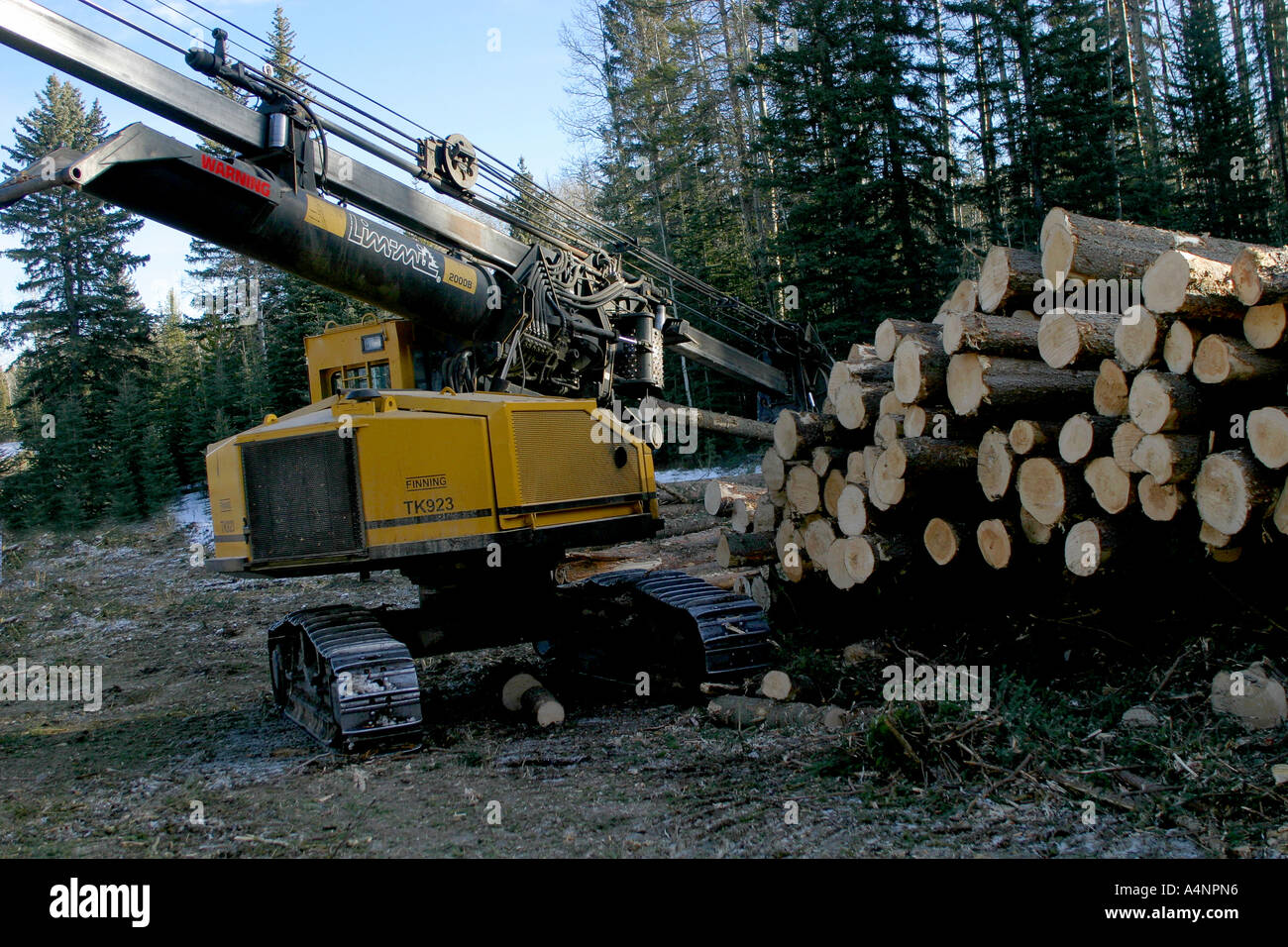 Delimber equipment machine hi-res stock photography and images - Alamy