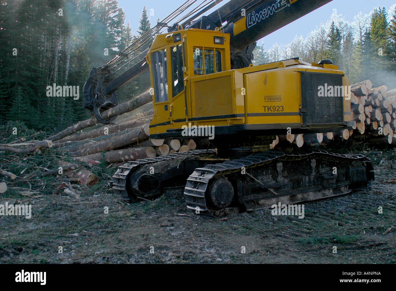 Lumber sales hi-res stock photography and images - Alamy
