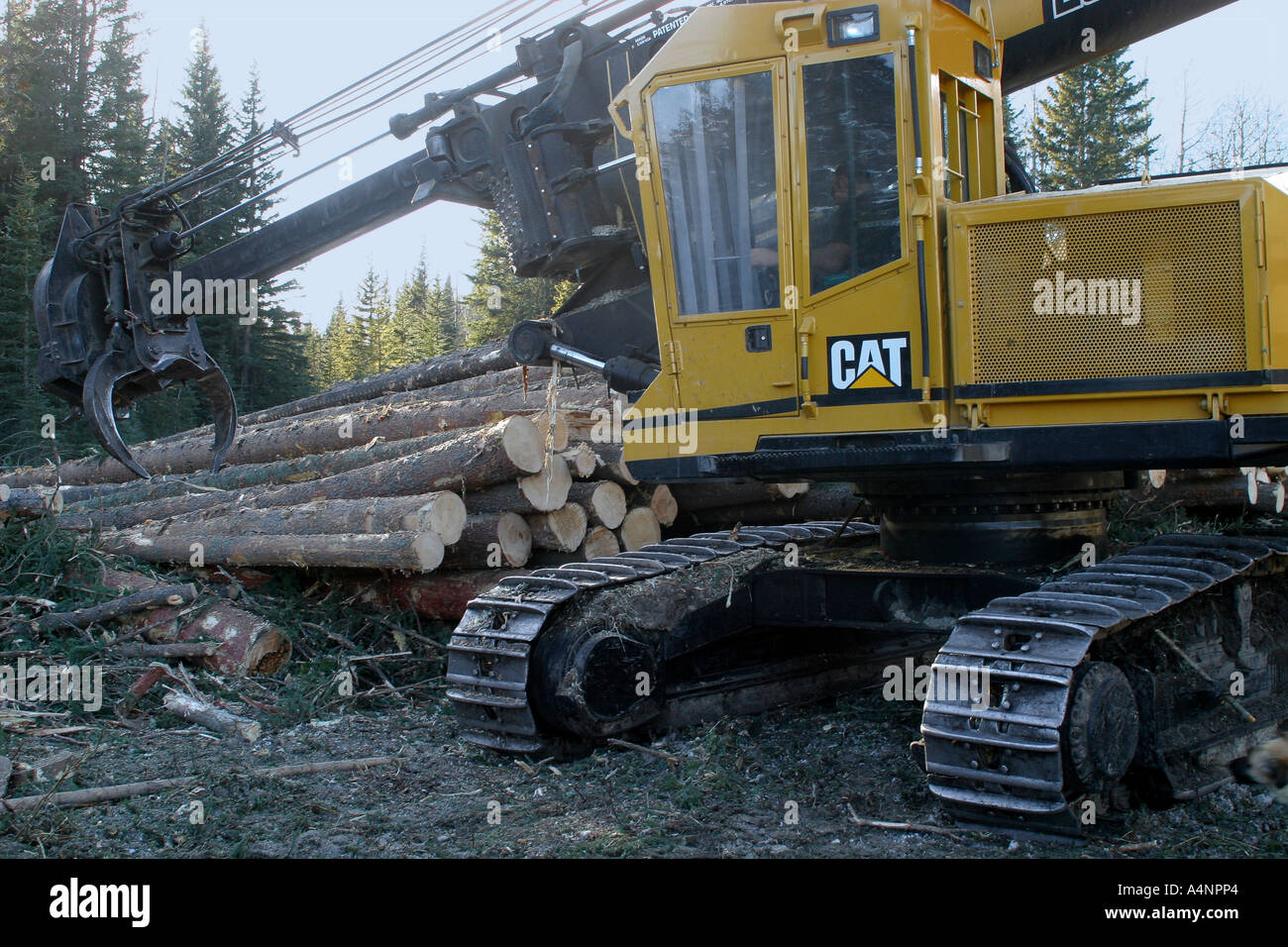 Delimber hi-res stock photography and images - Alamy