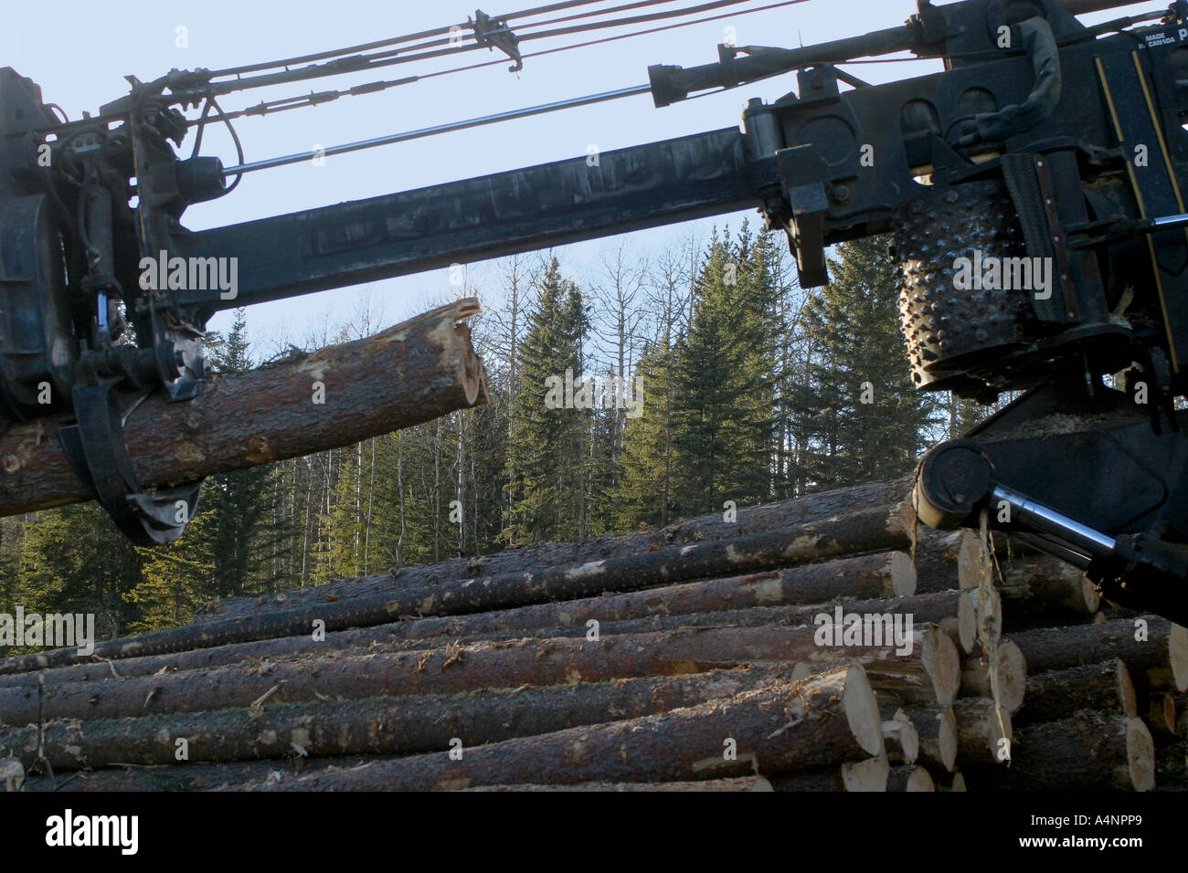 Delimber equipment machine hi-res stock photography and images - Alamy