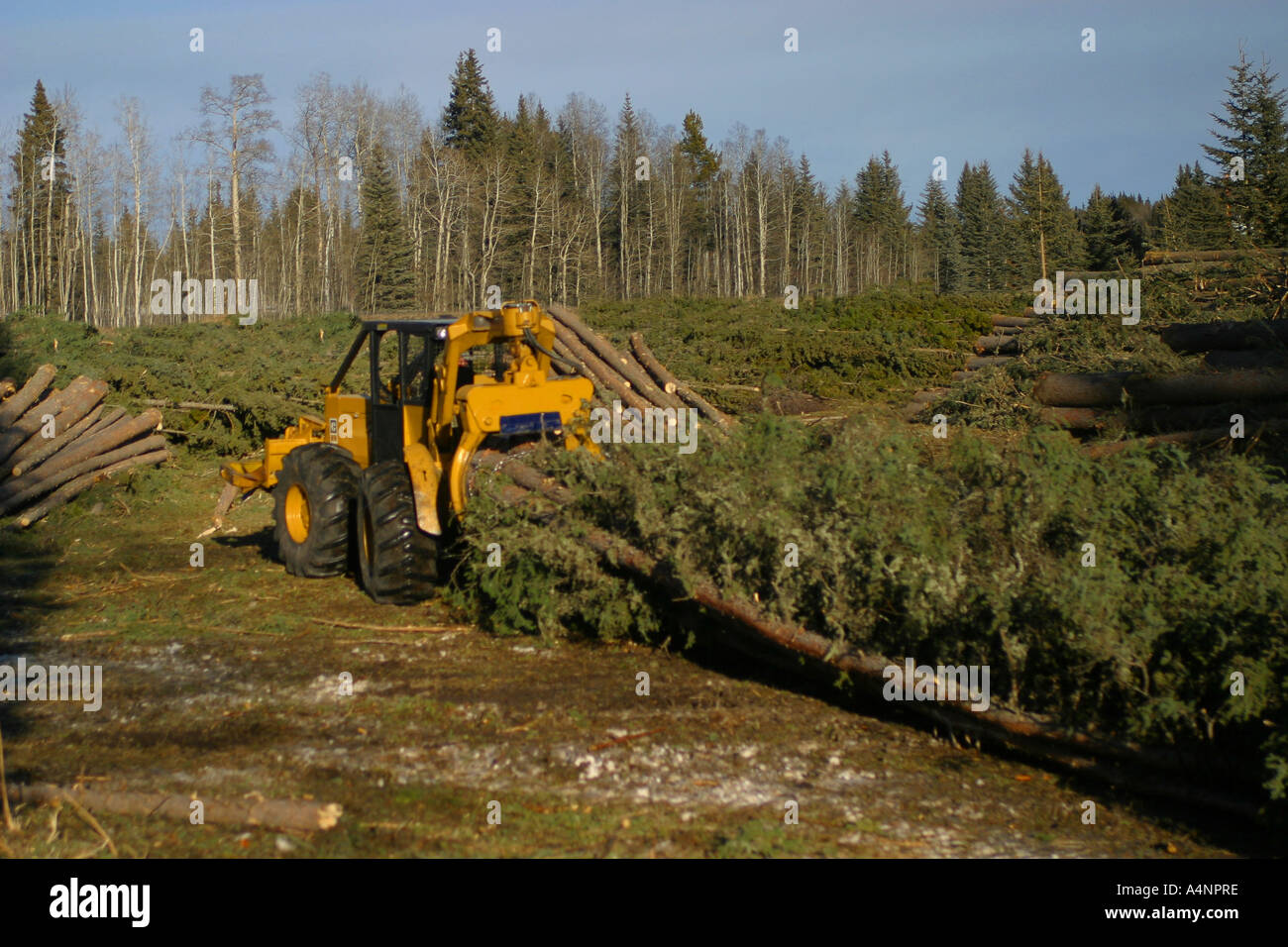 Logging grapple skidder hi-res stock photography and images - Alamy