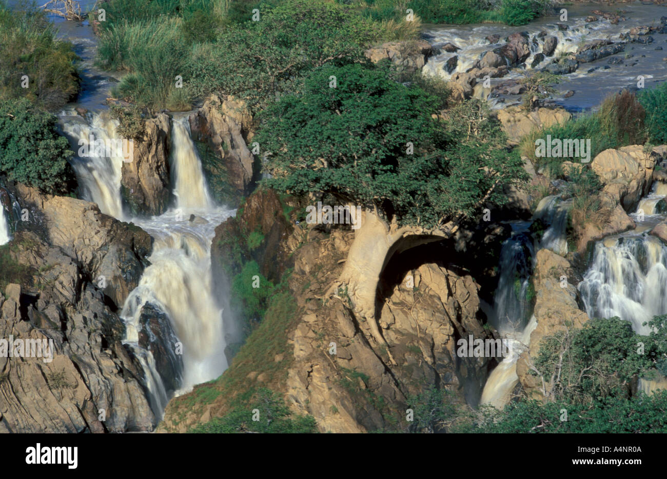 Epupa water falls Kunene river baobab tree border to Angola Namibia ...