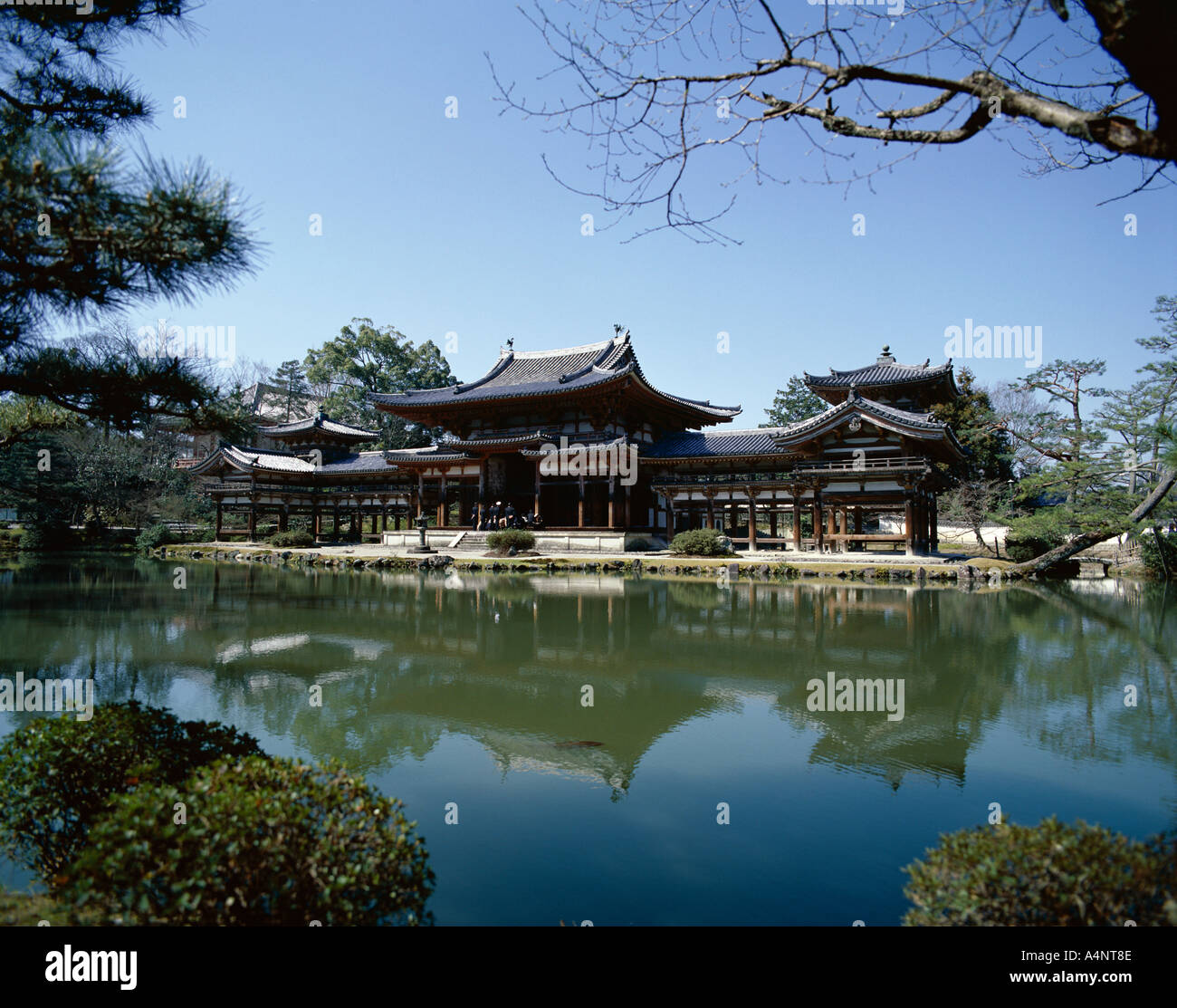 Byodin temple hi-res stock photography and images - Alamy