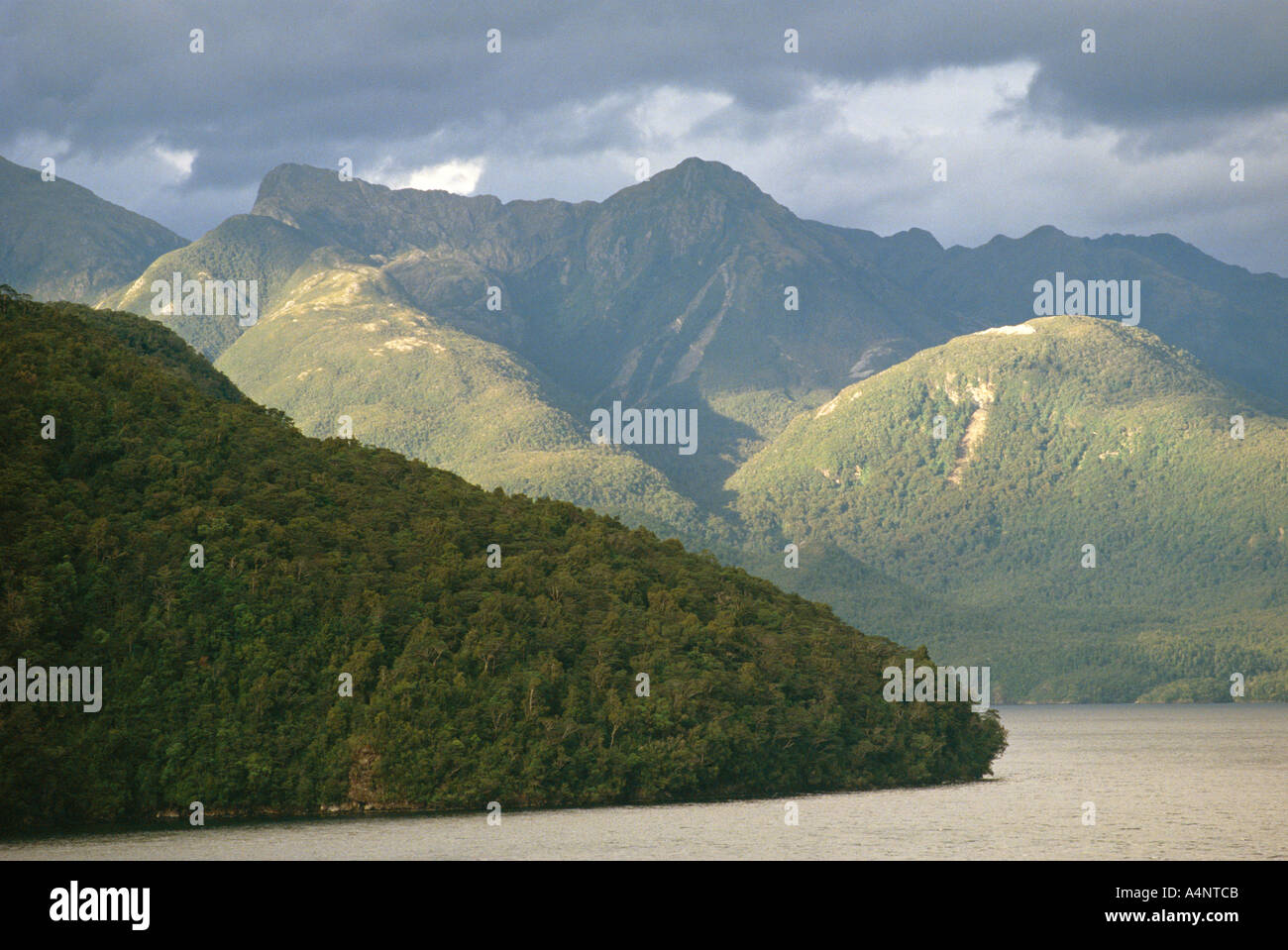 Dusky Sound Fiordland Southland South Island New Zealand Pacific Stock ...