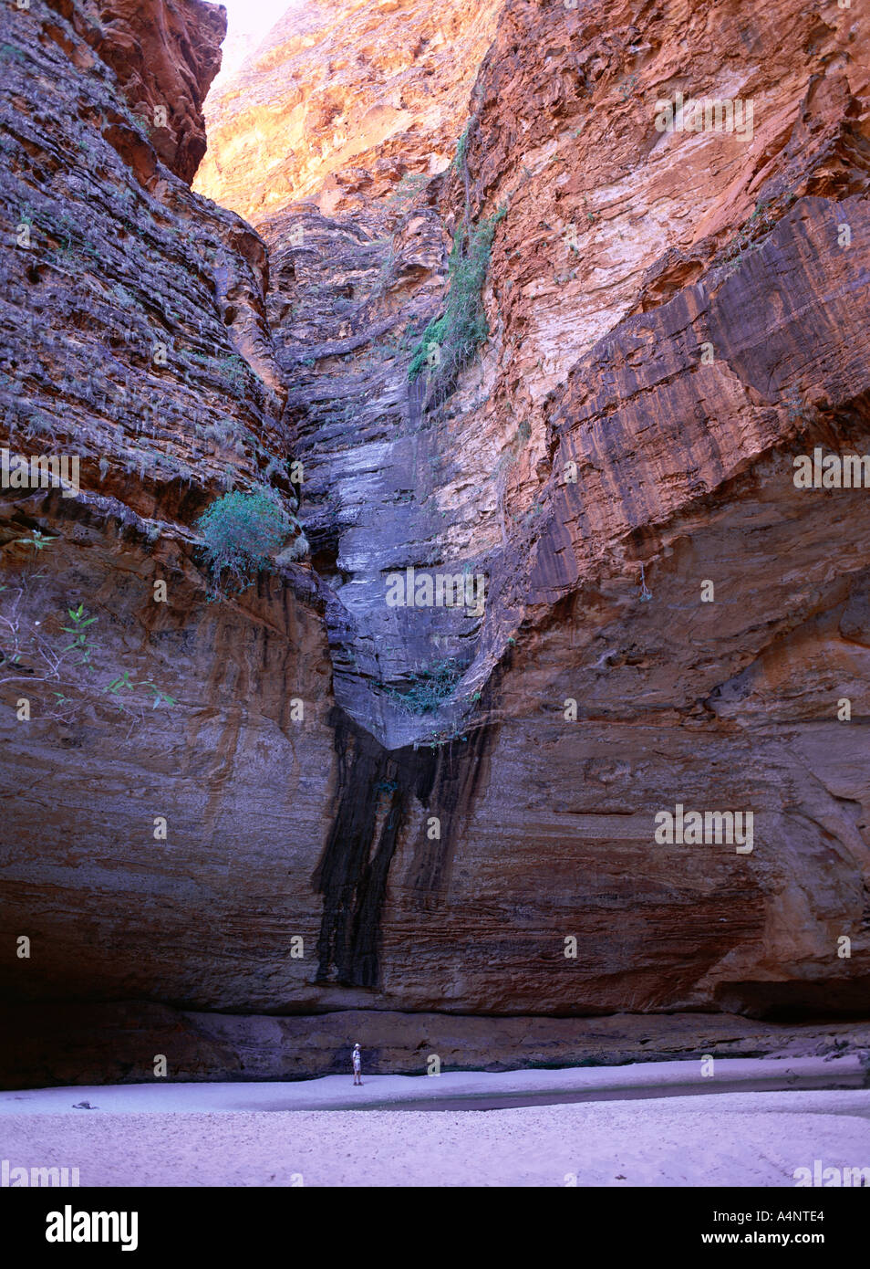 Cathedral gorge western australia hi-res stock photography and images ...