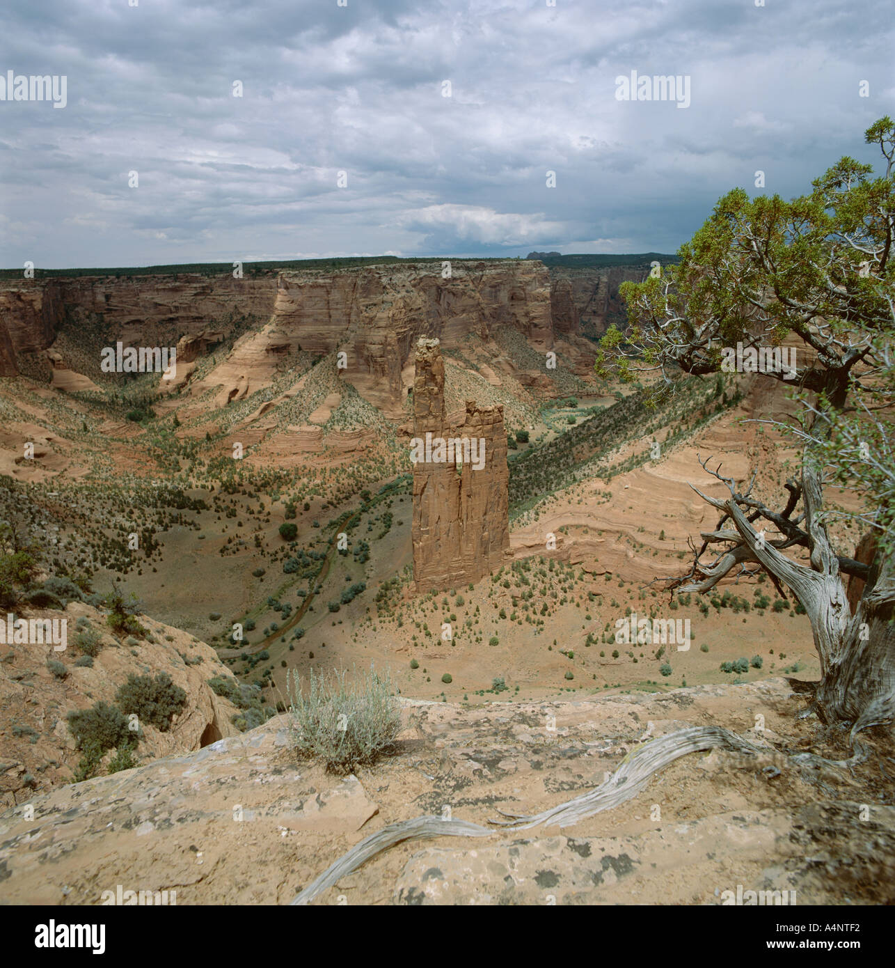 Rock formation Spider Rock from rim Canyon de Chelly Arizona United ...