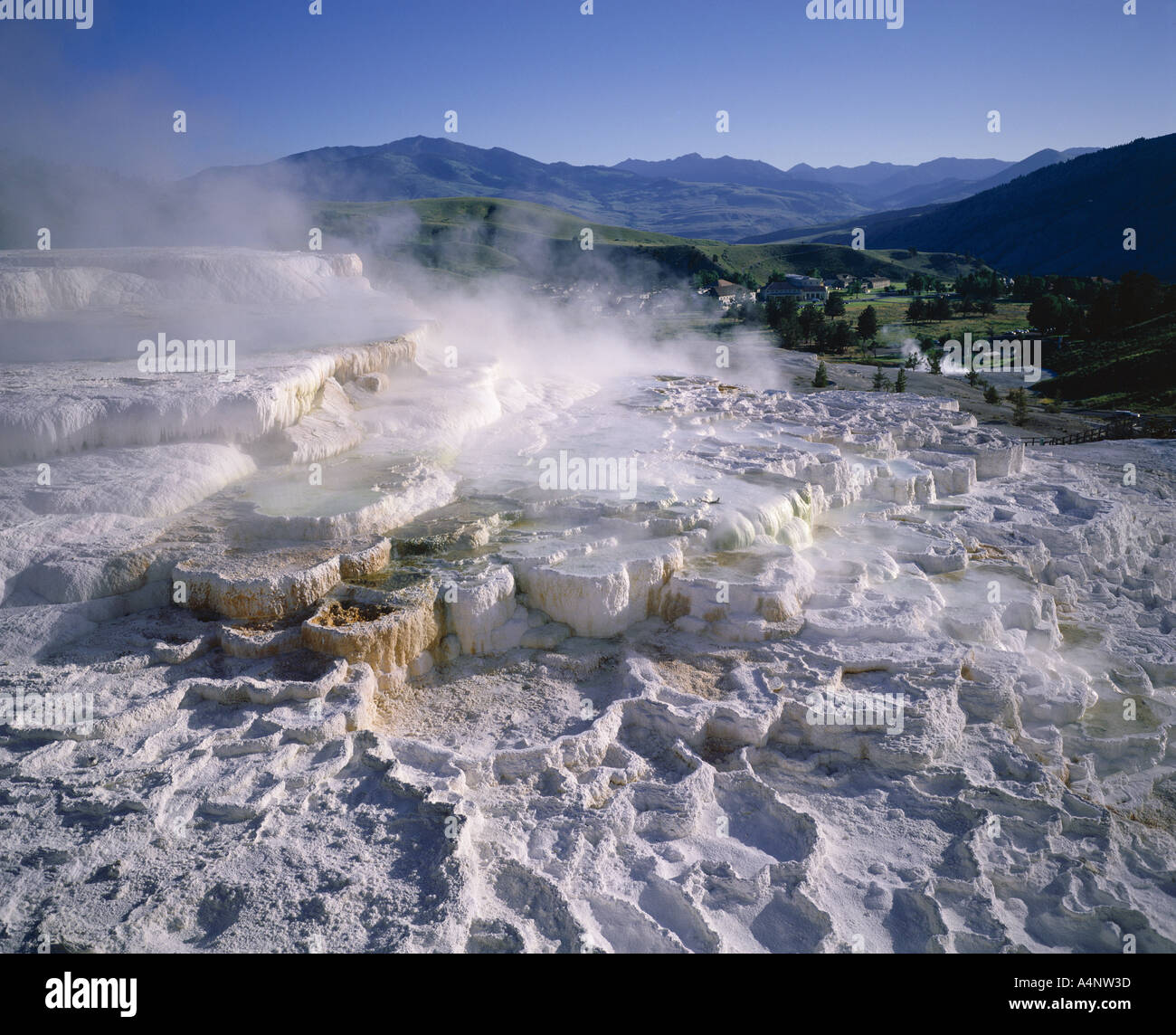 Minerva spring yellowstone hi-res stock photography and images - Alamy