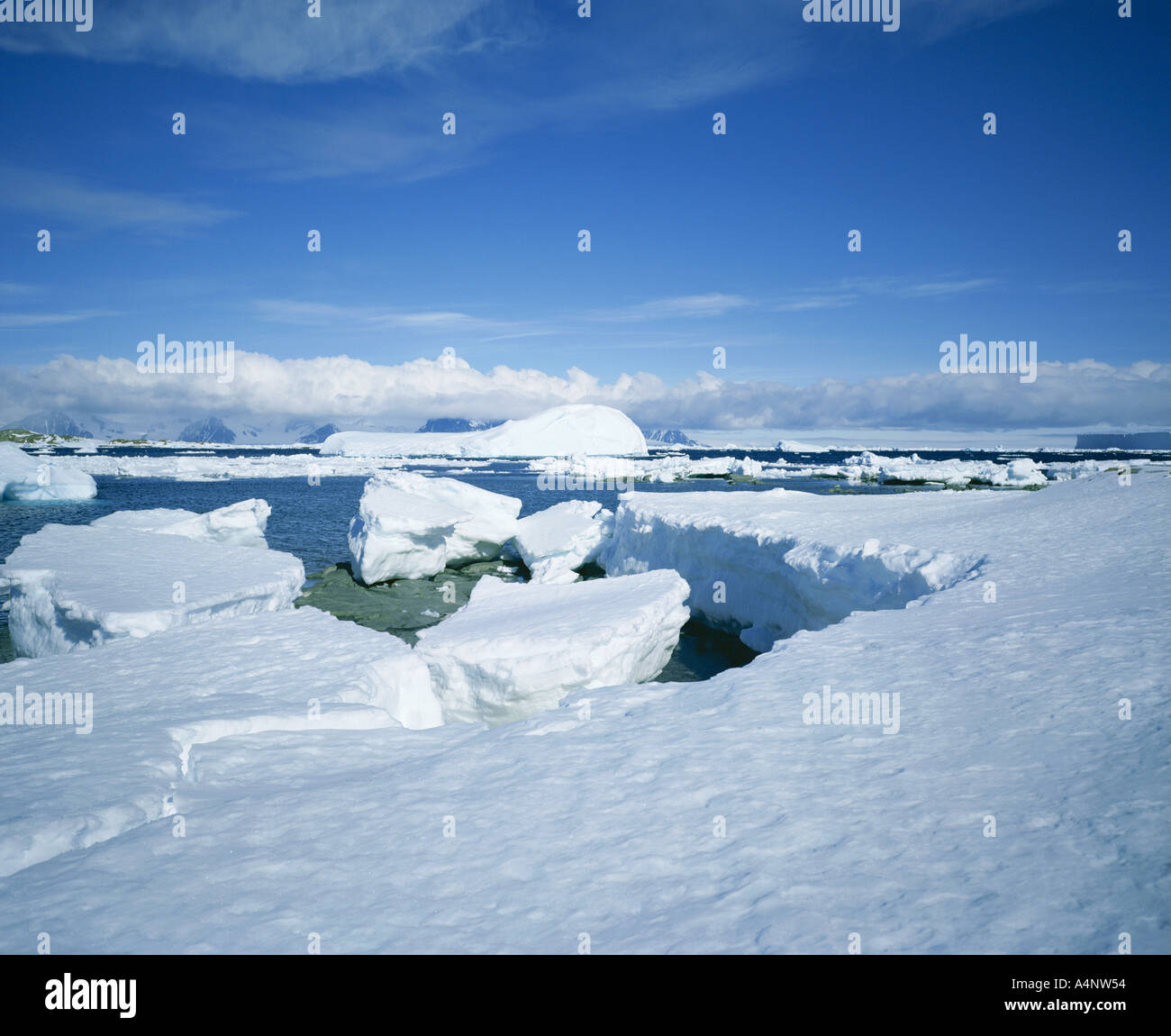 Coastal landscape Antarctic Peninsula Antarctica Polar Regions Stock ...
