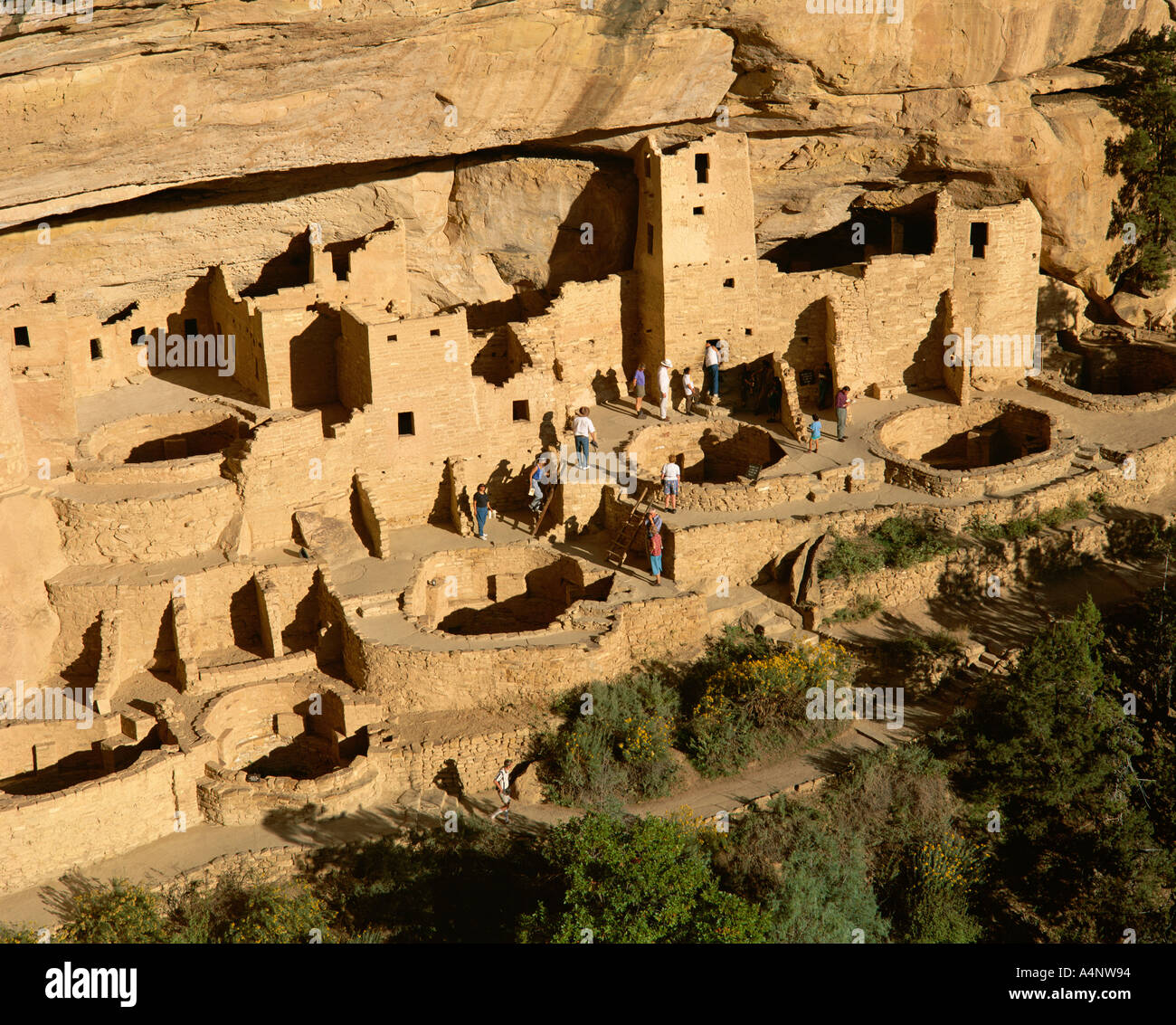 Cliff Palace and dwellings archaeological site Mesa Verde National Park ...