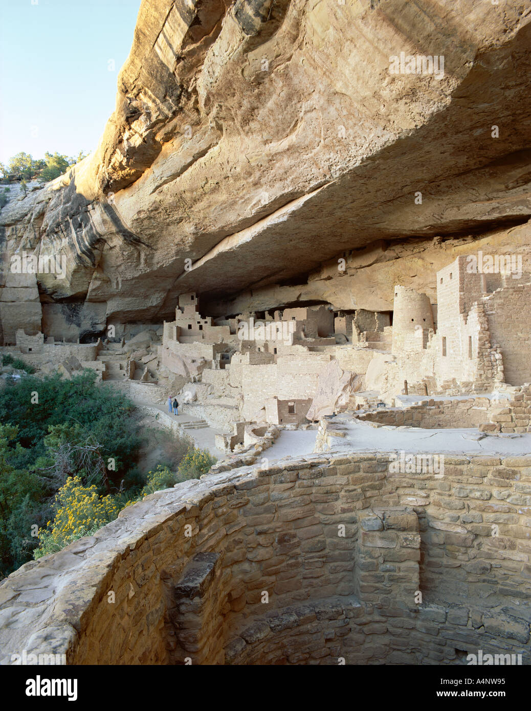 Cliff Palace and dwellings archeological site Mesa Verde National Park ...