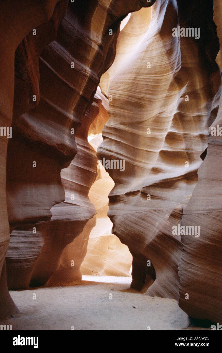 A slot canyon with eroded sandstone patterns hi-res stock photography ...