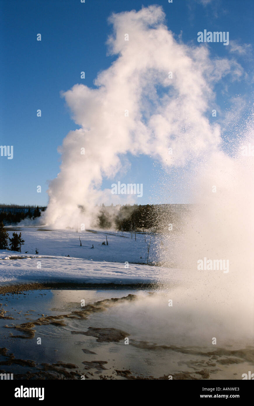 Castle and Sawmill Geysers in eruption in Old Faithful Geyser Basin in ...