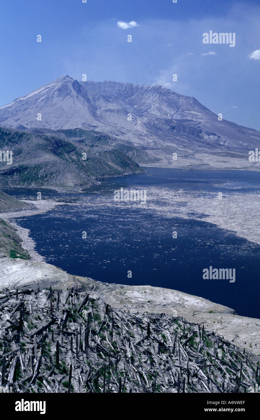 Blast area of 1980 eruption with destroyed forest floating timber on ...
