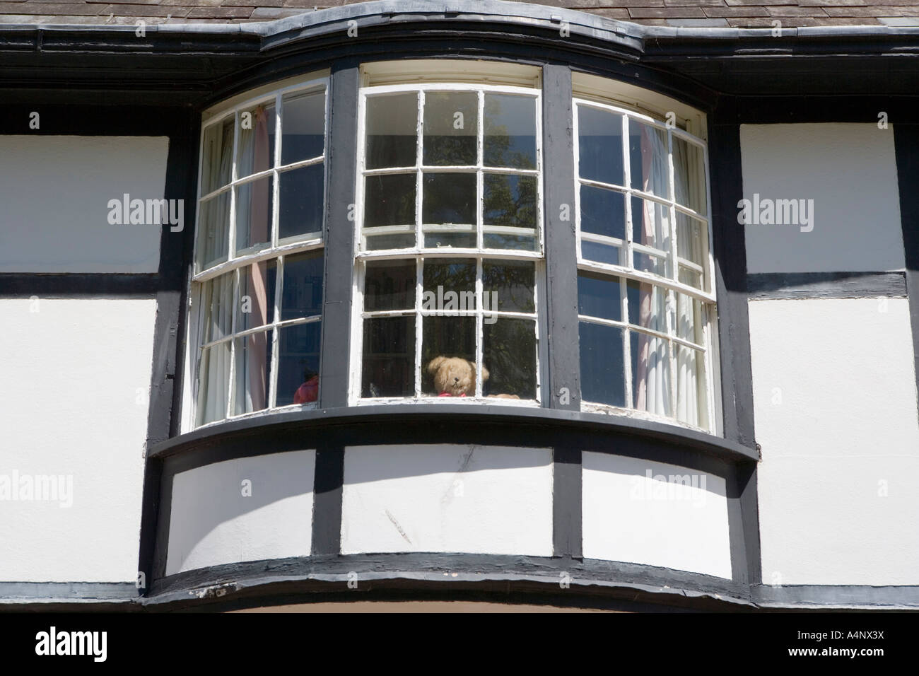 Devon bay window hi-res stock photography and images - Alamy