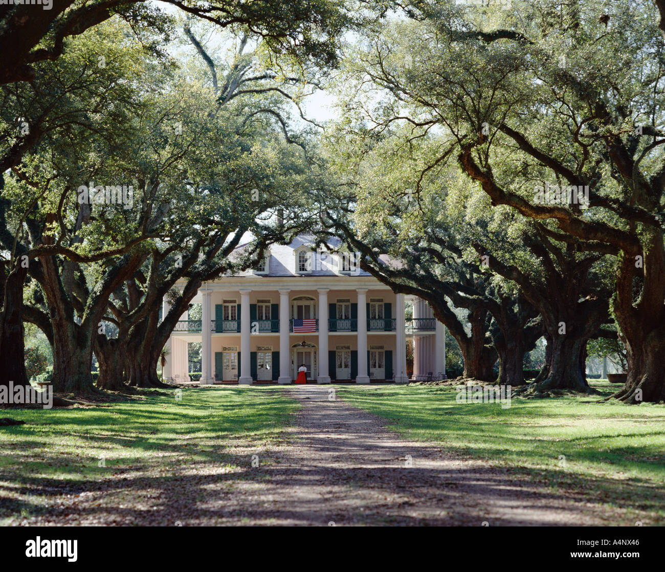 New orleans oak trees hi-res stock photography and images - Alamy