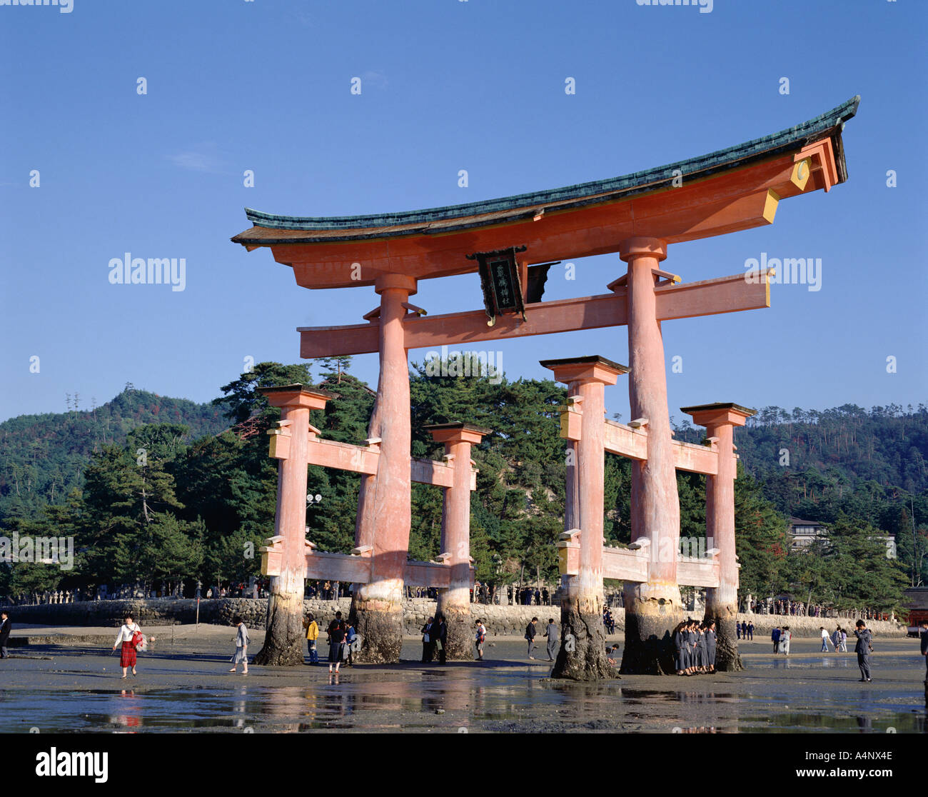 The Great Torii from the corridor of Itsukushima Shrine UNESCO World ...