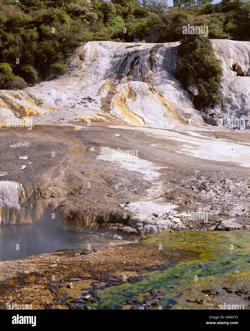 Orakei korako geyserland hi-res stock photography and images - Alamy