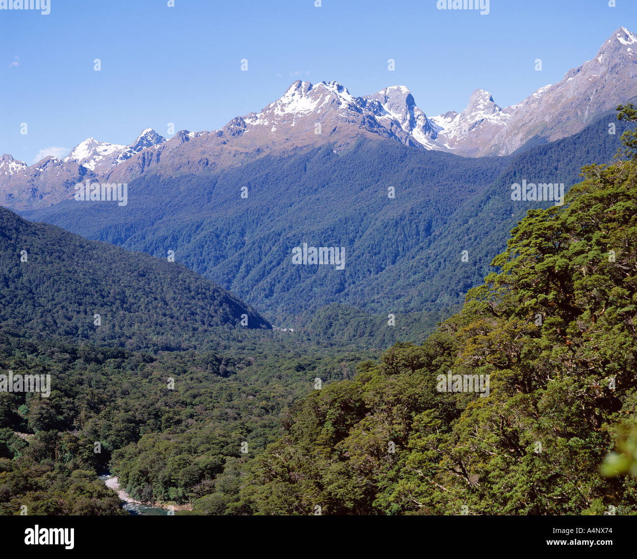Routeburn Track Hollyford Valley Pops view towards Humbolt mountains ...