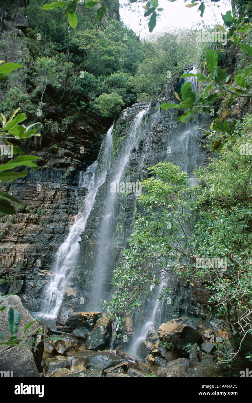 Beauchamp Falls Blue Mountains National Park UNESCO World Heritage Site ...