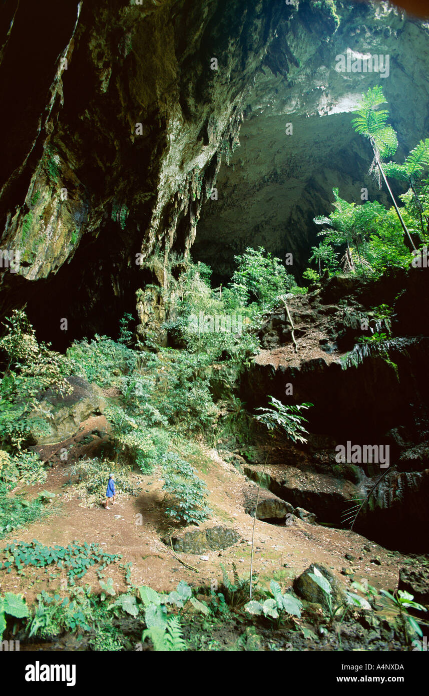Looking out through entrance of cave Deer Cave Gunung Mulu National ...