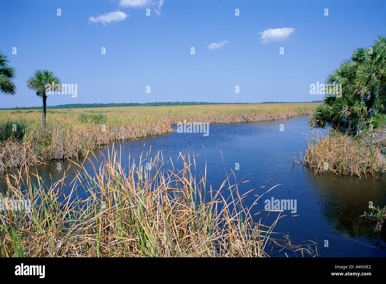 Everglades National Park UNESCO World Heritage Site Florida United ...