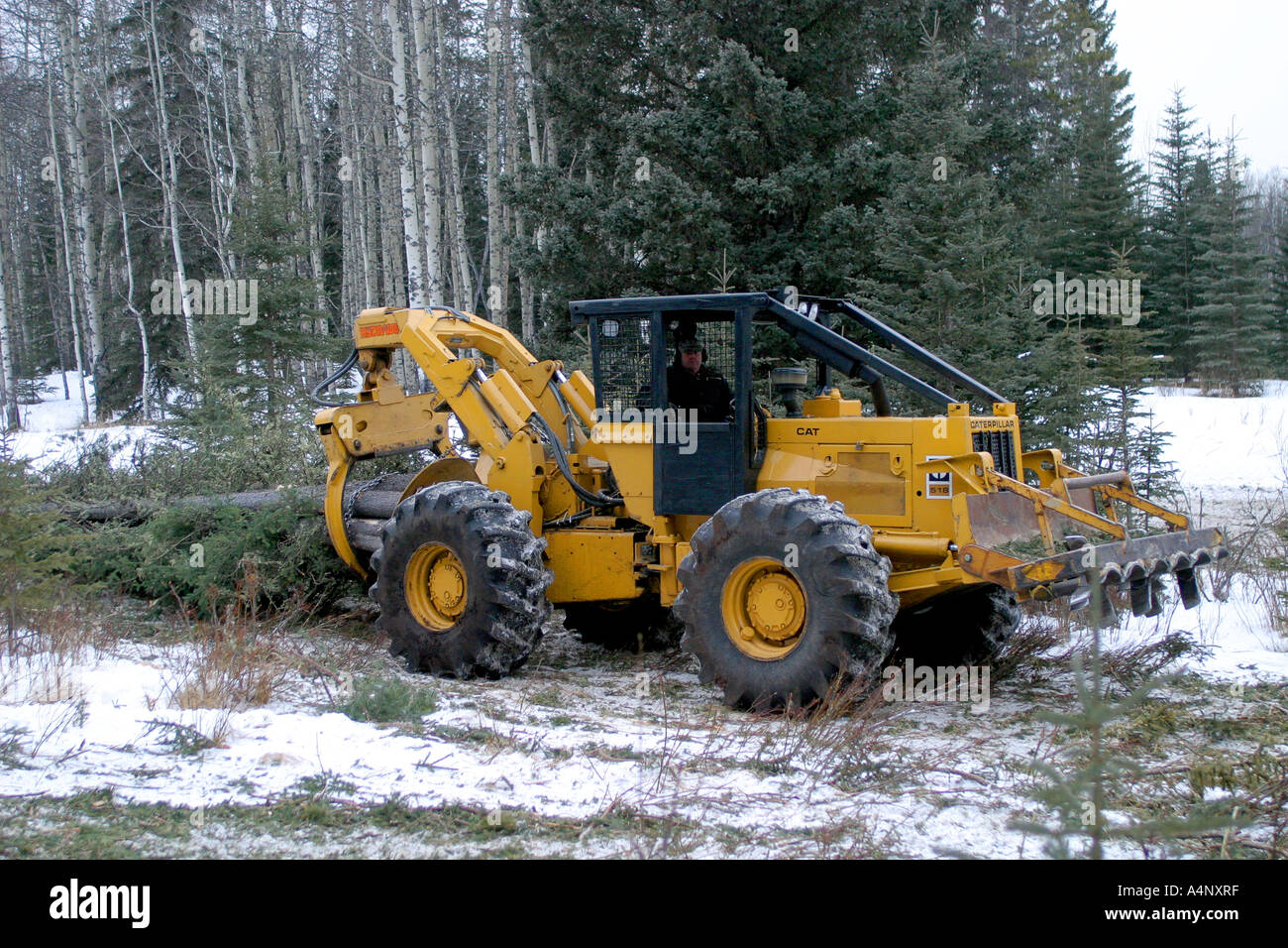 Skidder pulling cut trees hi-res stock photography and images - Alamy