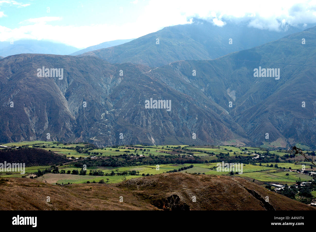 Productive farm fields in the folds of the Andes mountains in Venezuela ...