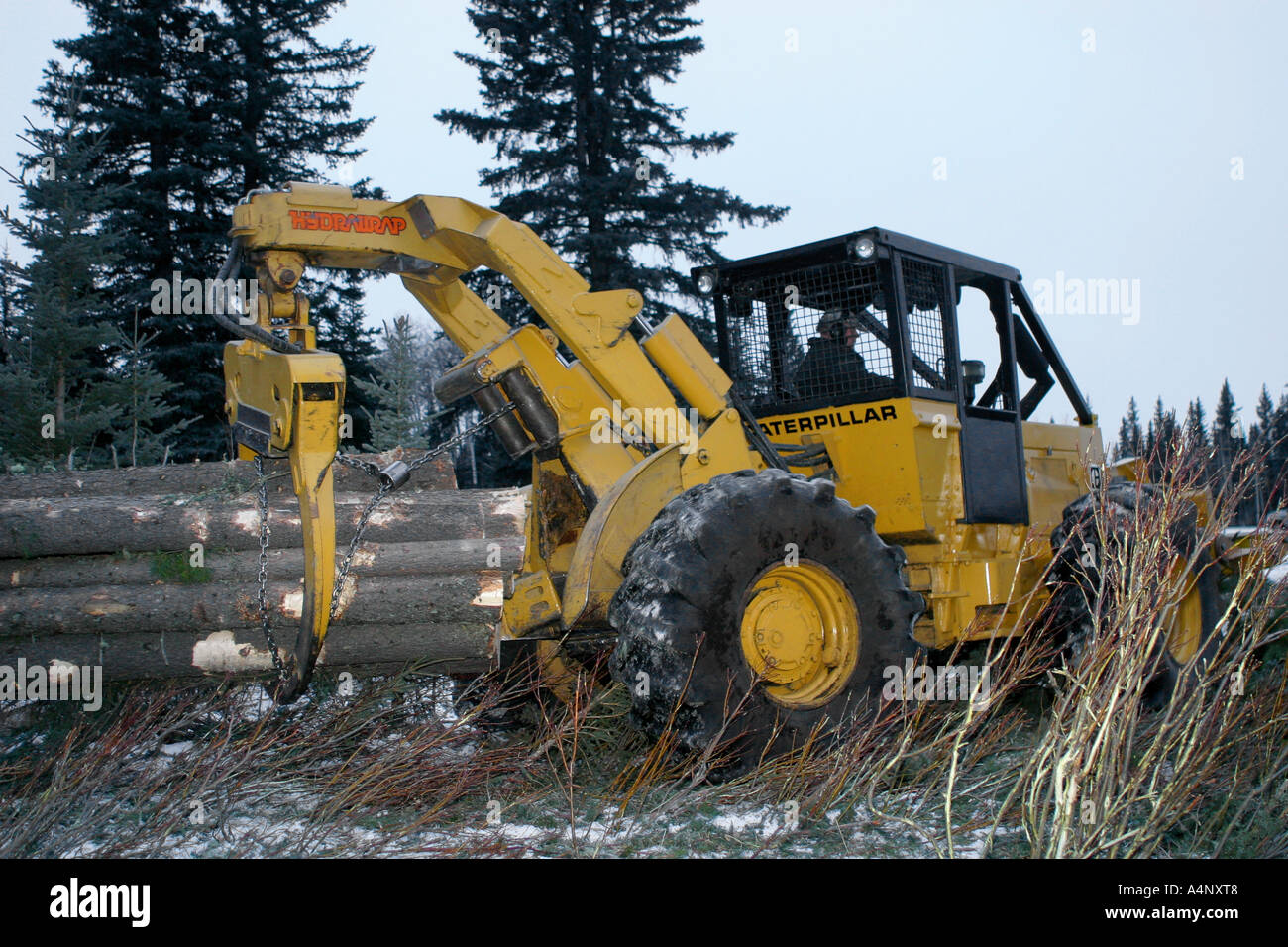 Lumberfuel hi-res stock photography and images - Alamy
