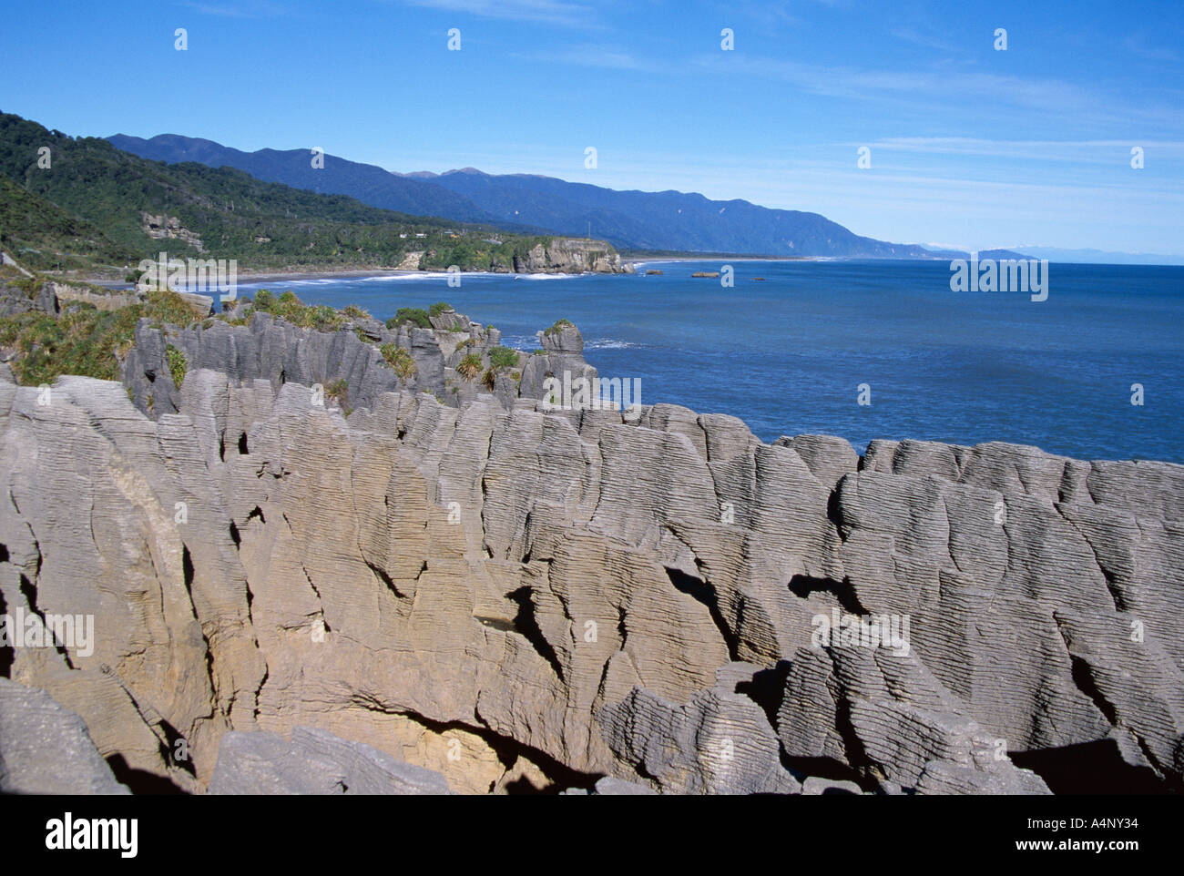 Pancake rocks Punakaiki West Coast South Island New Zealand Pacific ...