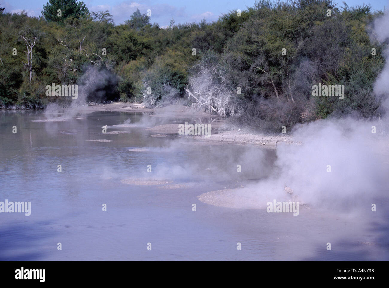 Bubbling steaming geothermal mud hi-res stock photography and images ...
