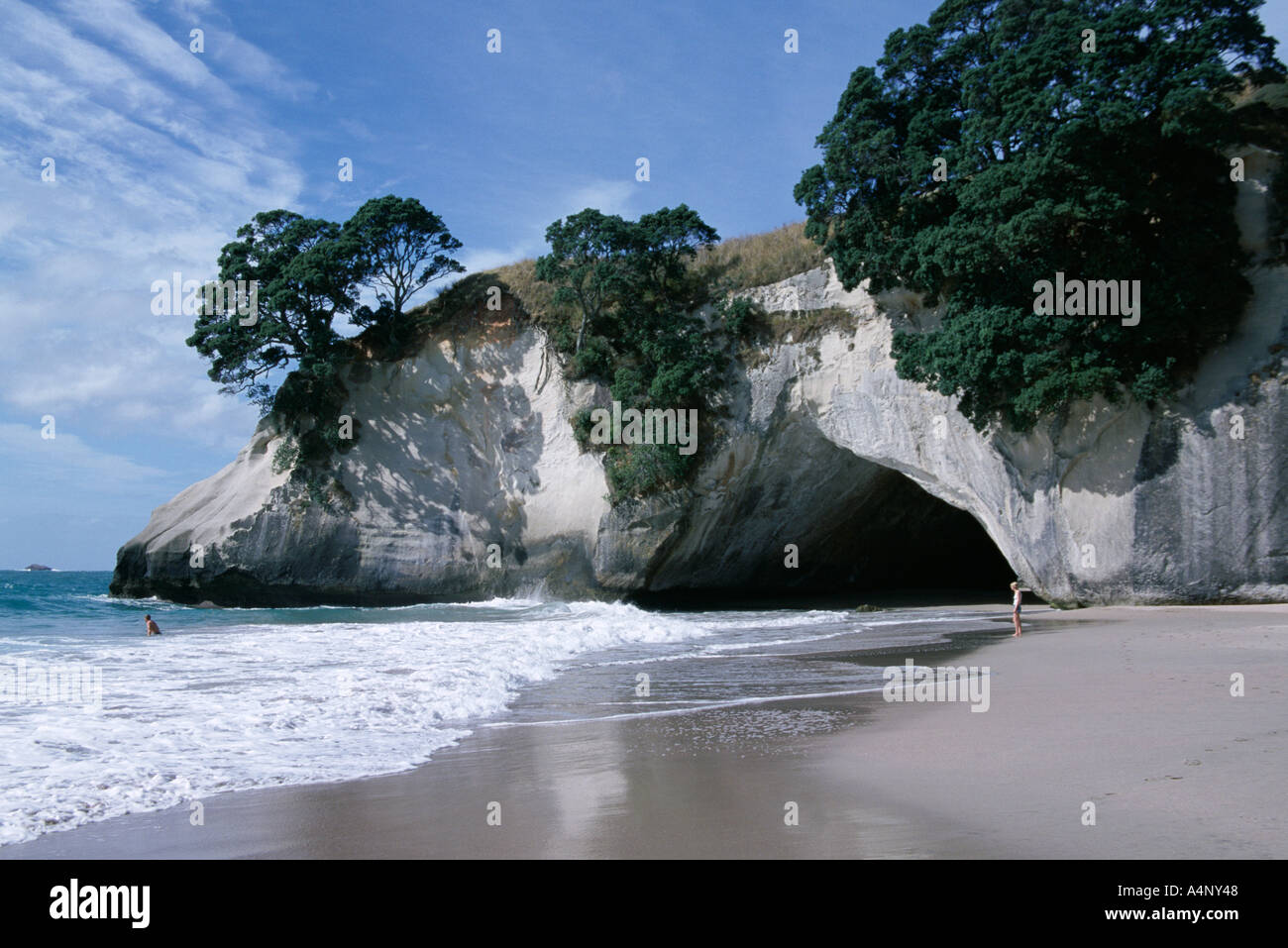 Beach white chalk cliffs stacks and arches Whitianga Coromandel ...