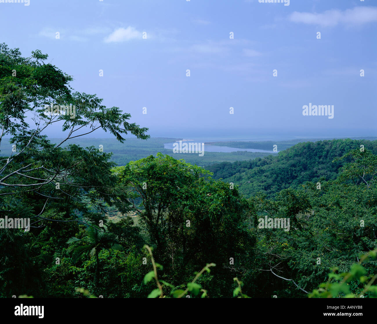 The Daintree rainforest Cape Tribulation National Park Queensland ...