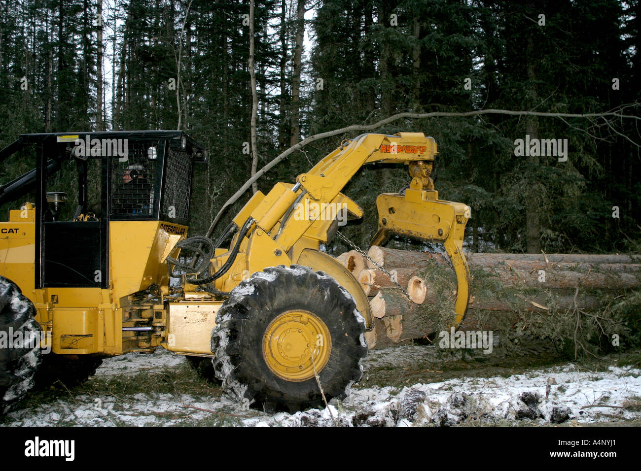 Skidder pulling cut trees hi-res stock photography and images - Alamy