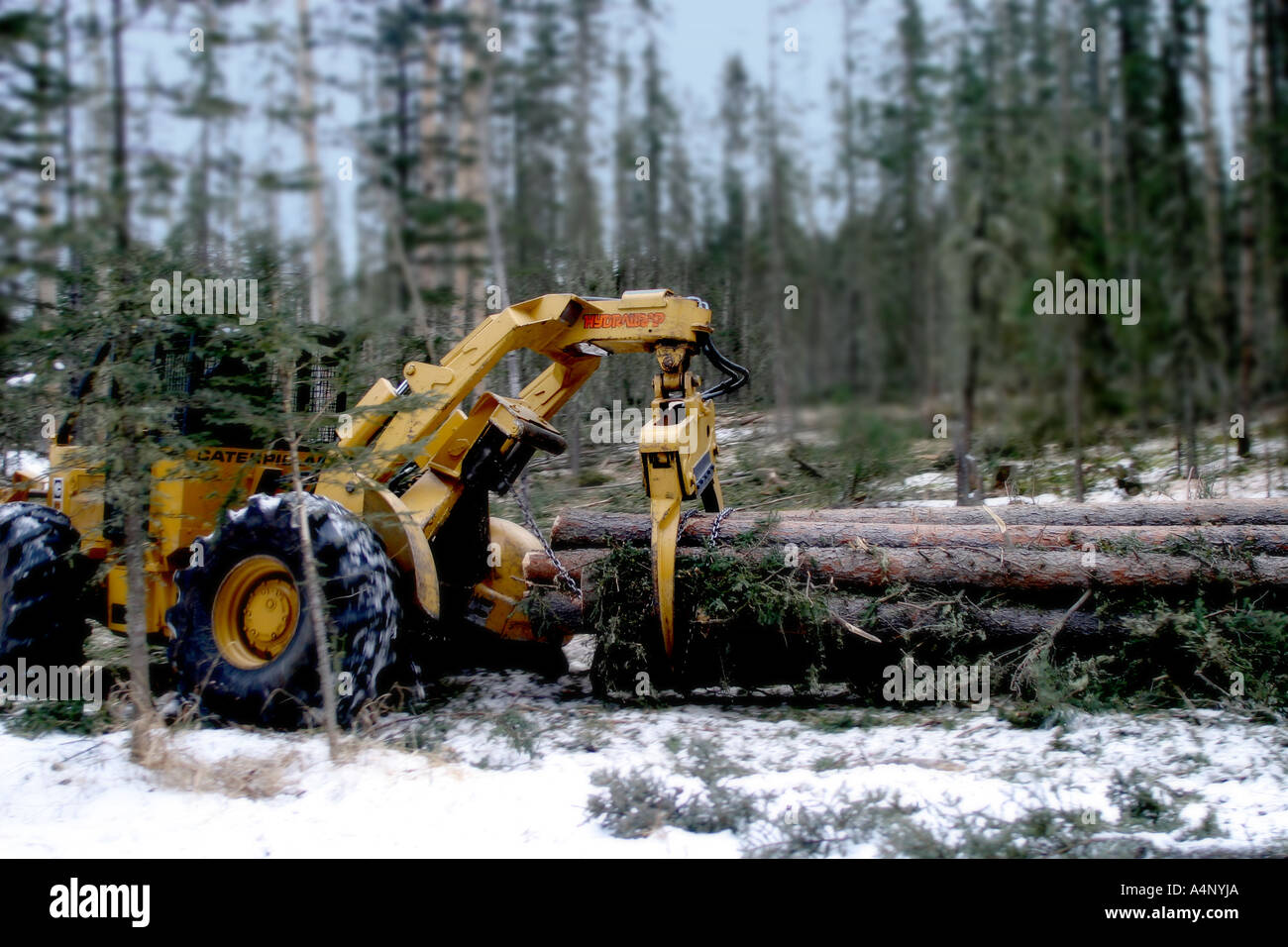 Skidder pulling cut trees hi-res stock photography and images - Alamy