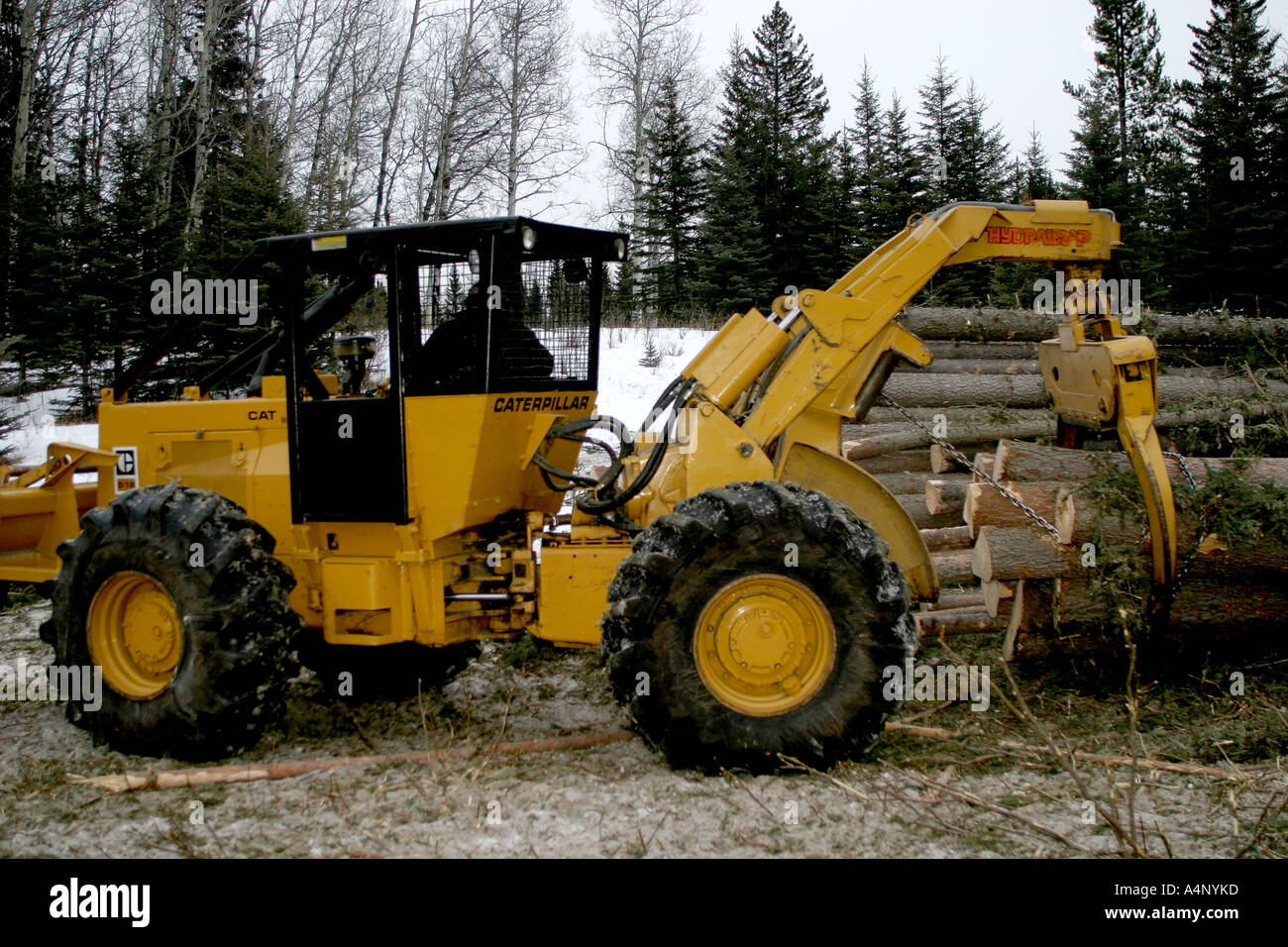Skidder pulling cut trees hi-res stock photography and images - Alamy