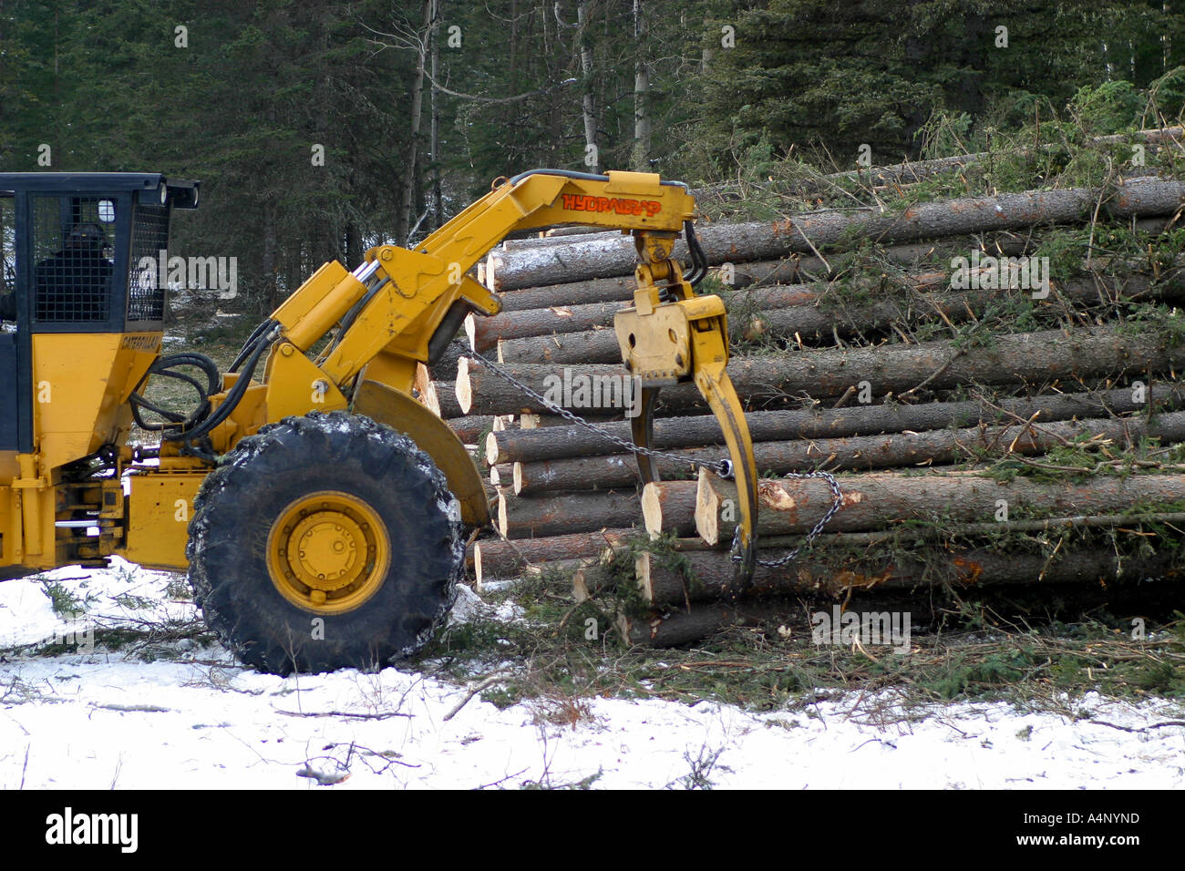 Skidder pulling cut trees hi-res stock photography and images - Alamy
