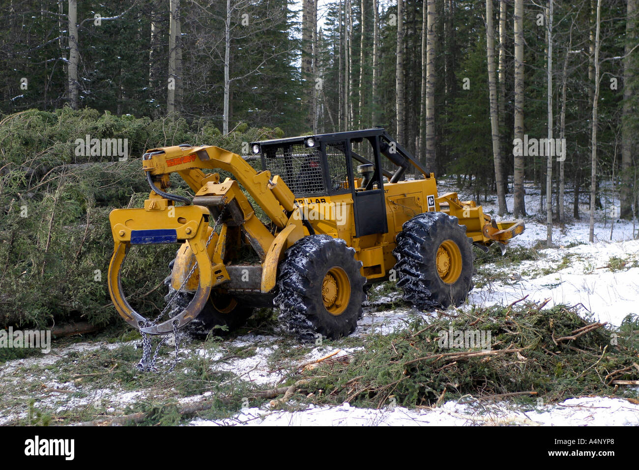 Skidder pulling cut trees hi-res stock photography and images - Alamy