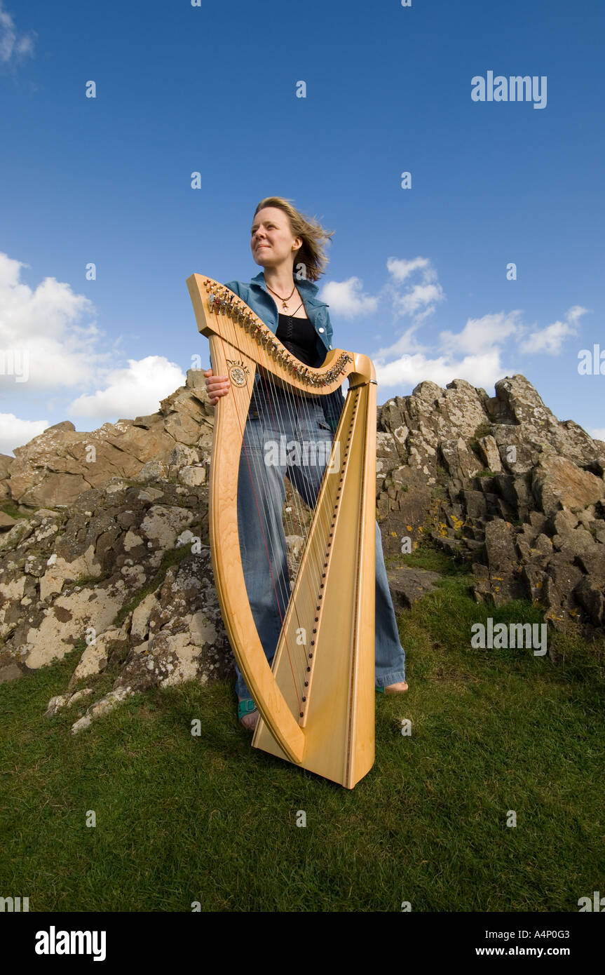 Welsh harp hi-res stock photography and images - Alamy