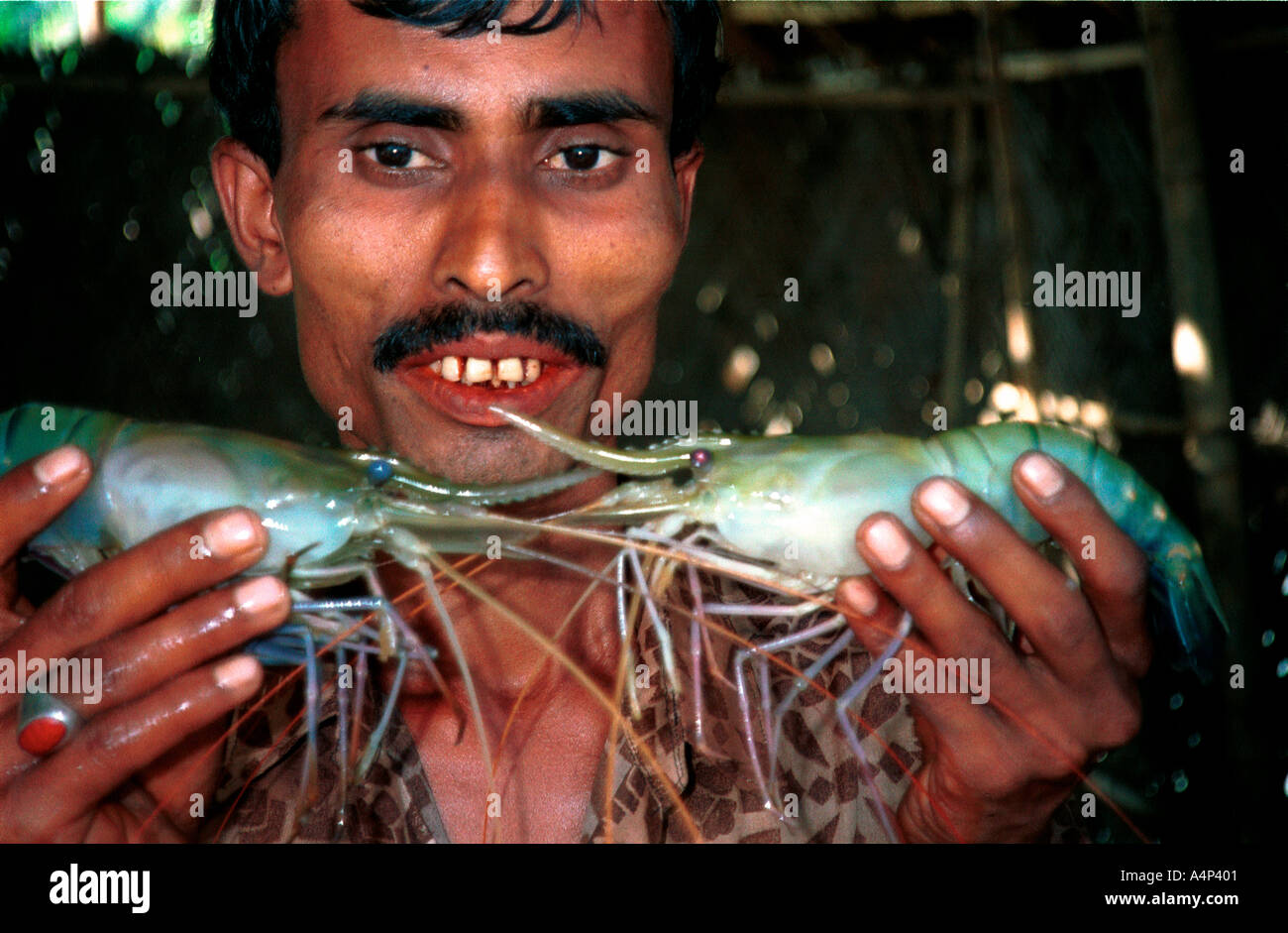 Aquaculture fish farm bangladesh hi-res stock photography and images ...