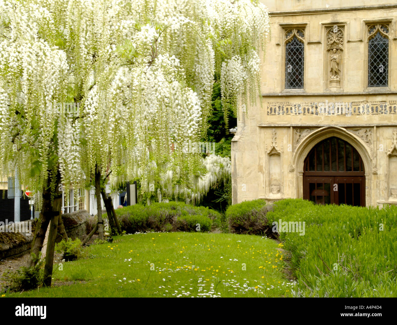 ST MICHAEL AT PLEAS CHURCH NORWICH NORFOLK EAST ANGLIA ENGLAND UK Stock ...