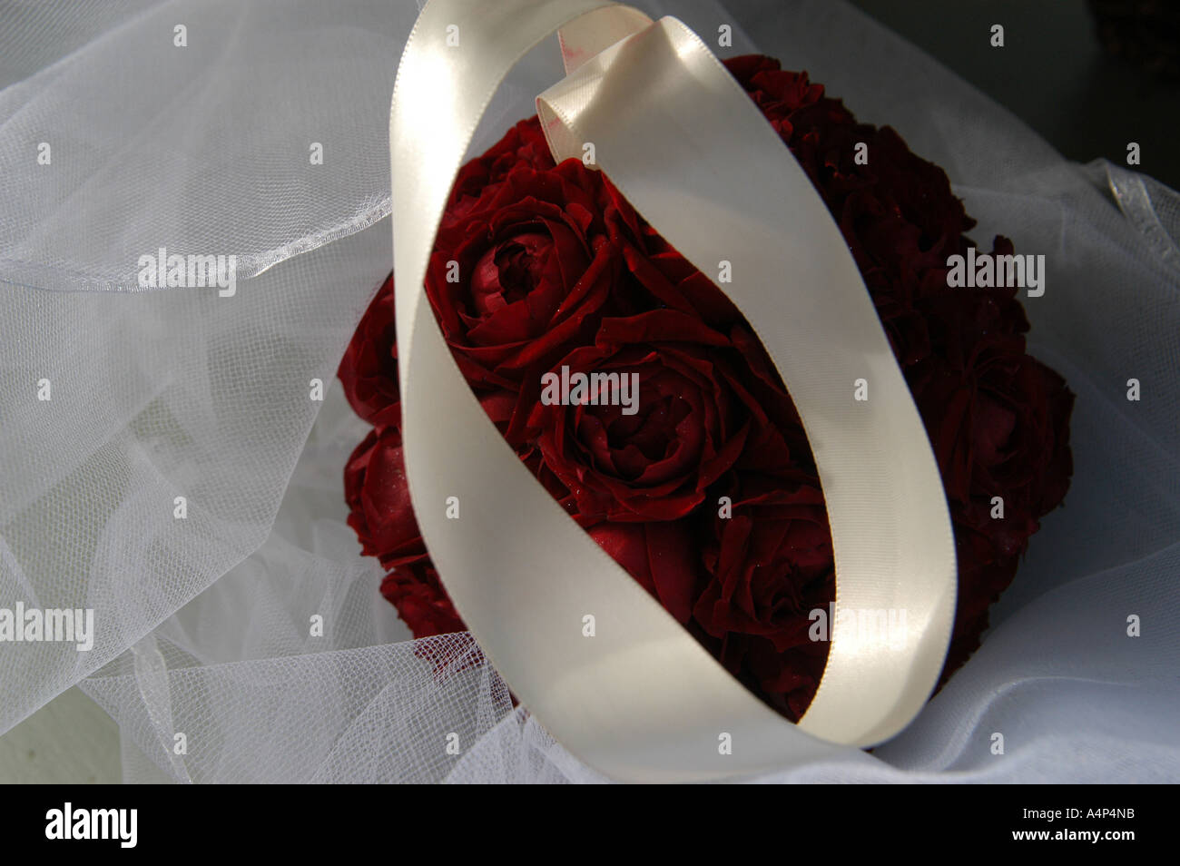 Lacy white flowers hi-res stock photography and images - Alamy