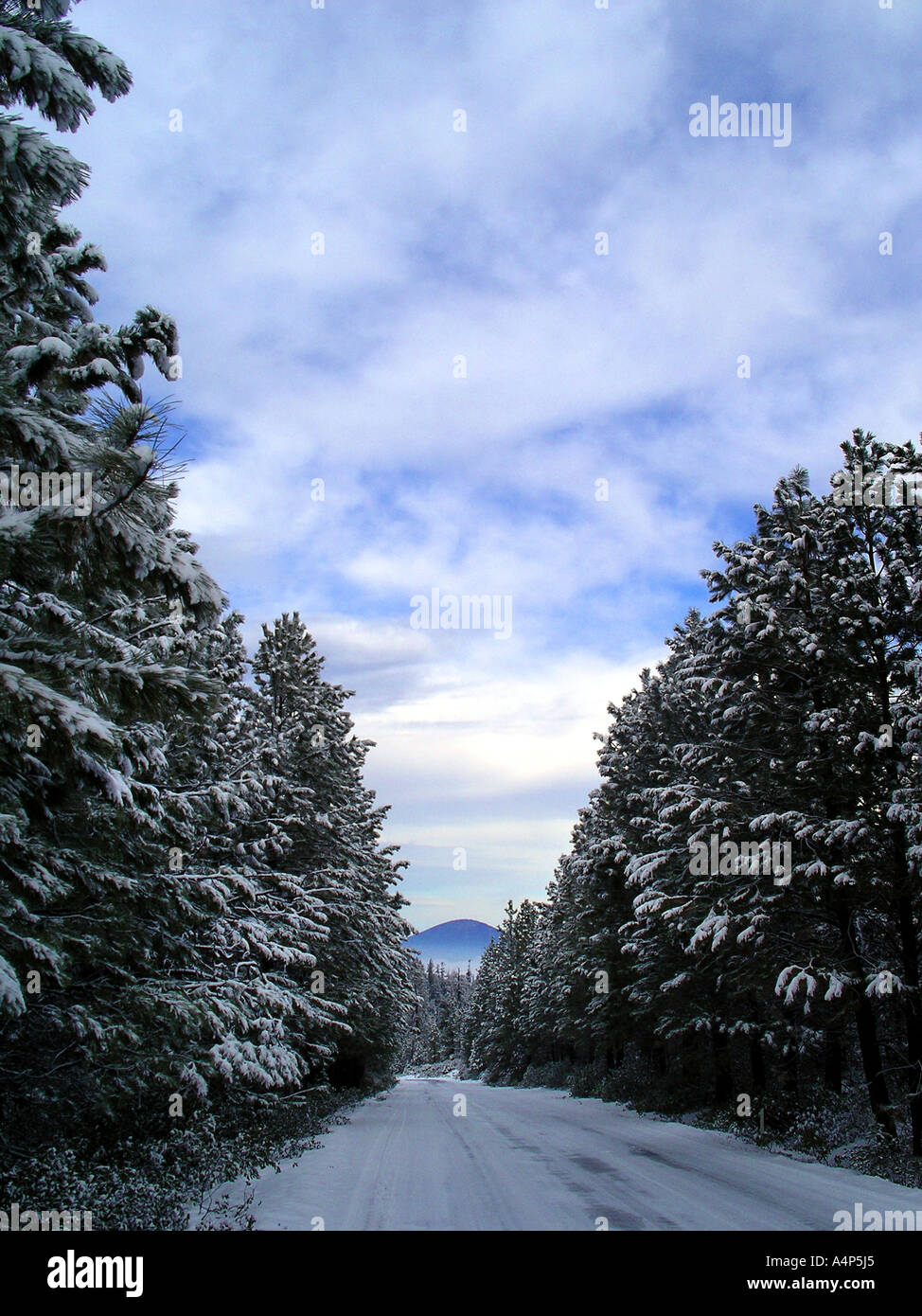 Winter snow landscape scene in Central Oregon Cascades Stock Photo - Alamy