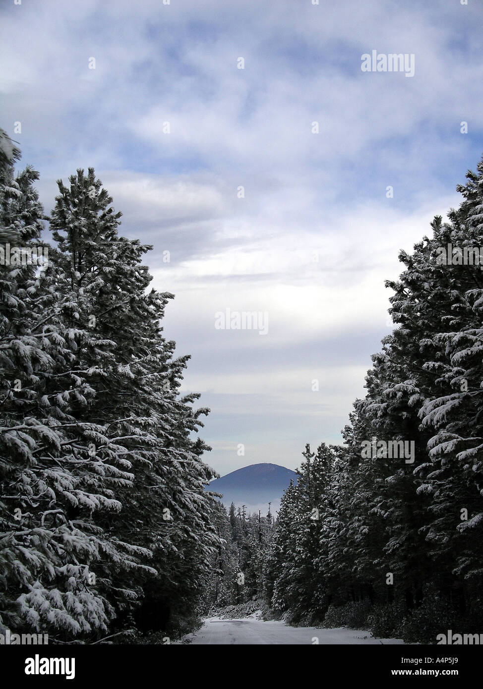 Winter snow landscape scene in Central Oregon Cascades Stock Photo - Alamy