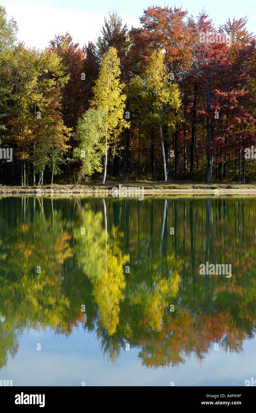 Michigan fall color splendor Stock Photo - Alamy