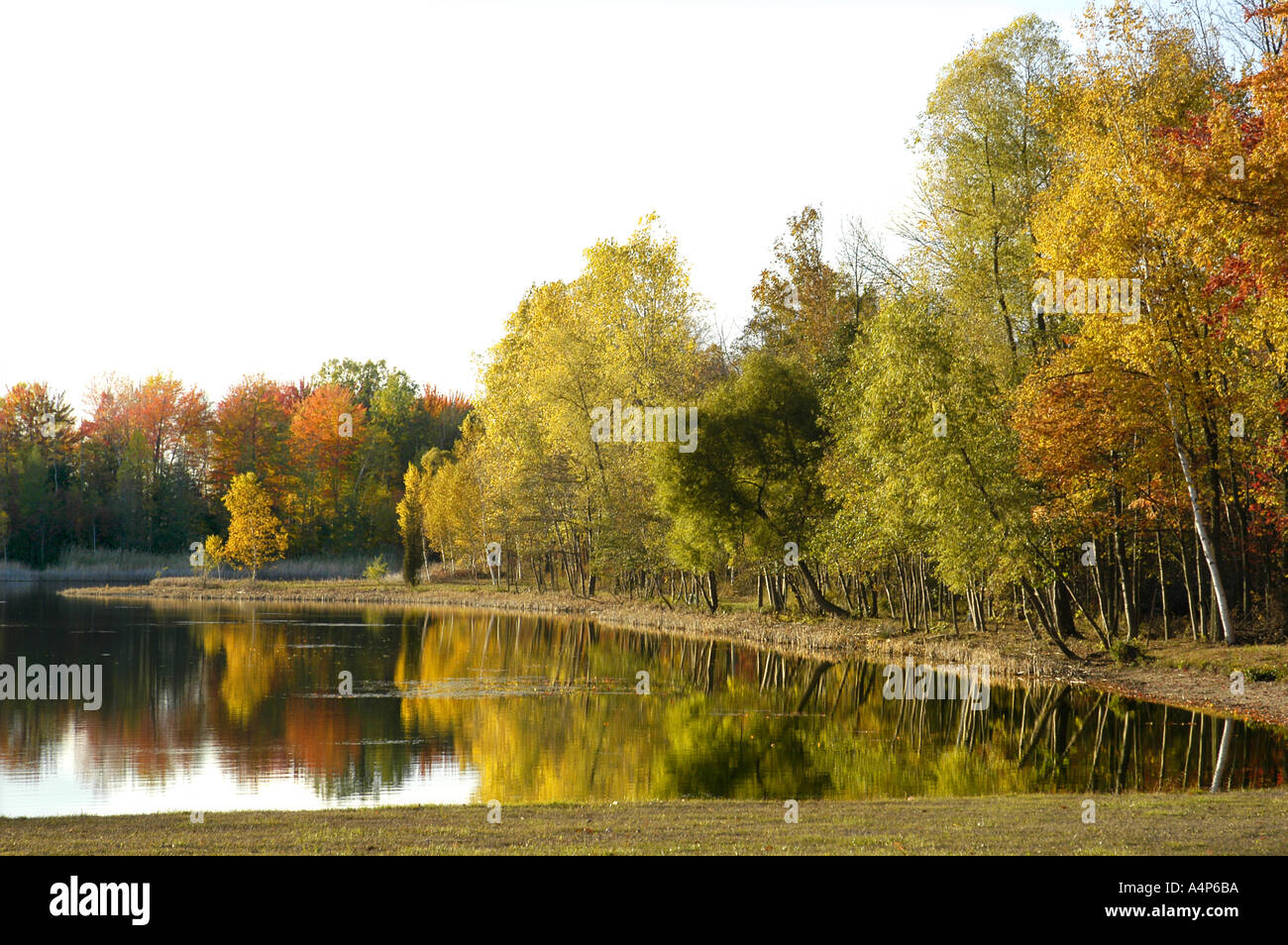 Michigan fall color splendor Stock Photo - Alamy