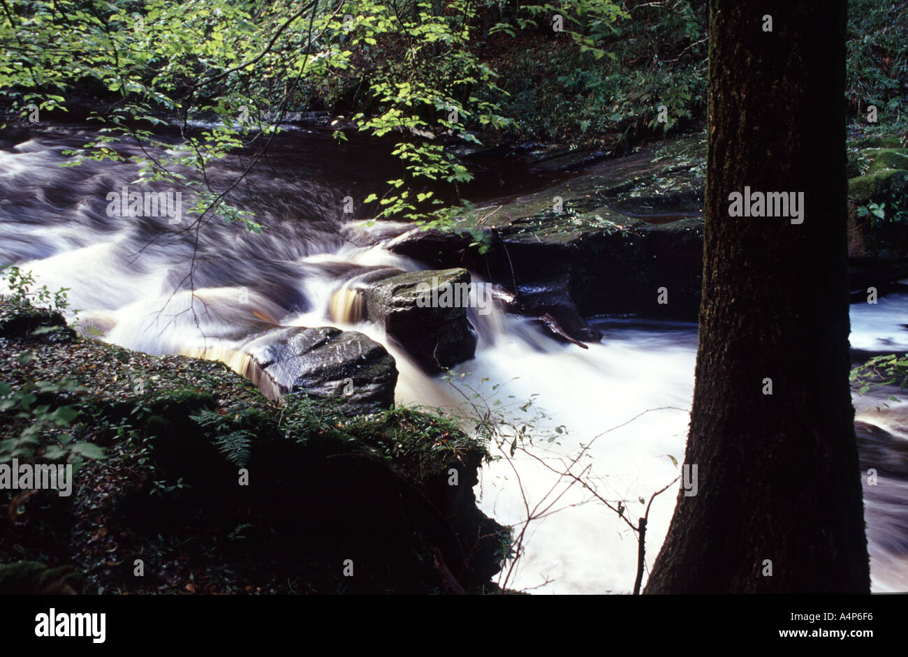 River gelt cumbria hi-res stock photography and images - Alamy