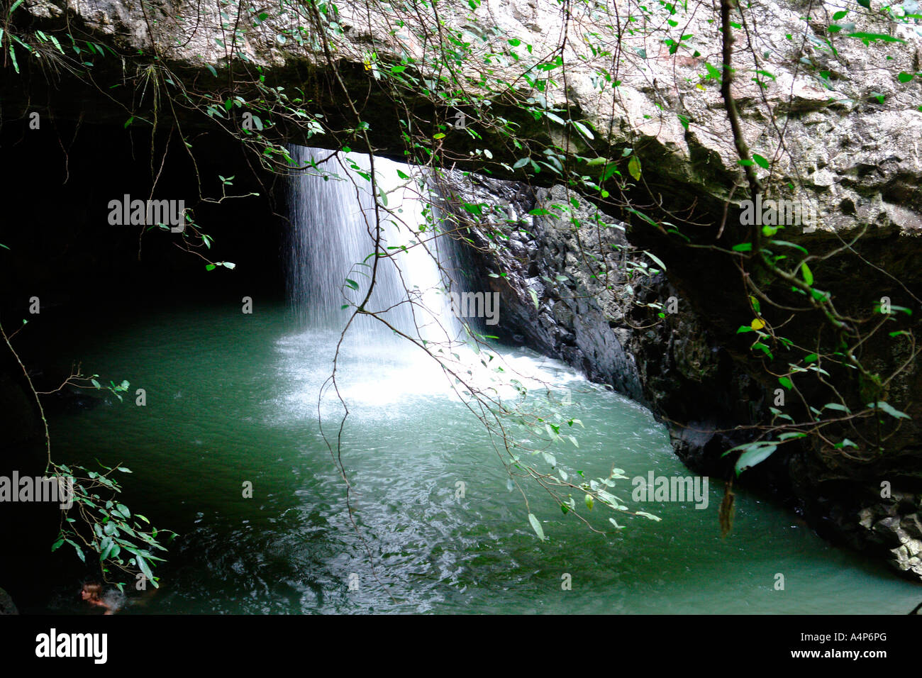 Numinbah valley hi-res stock photography and images - Alamy