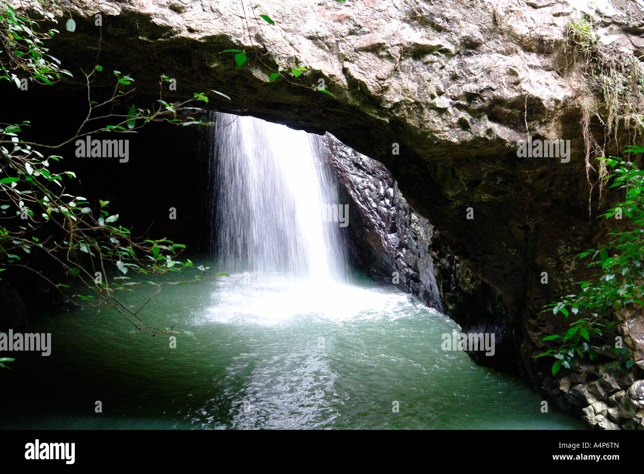 natural arch at numinbah valley queensland australia Stock Photo - Alamy